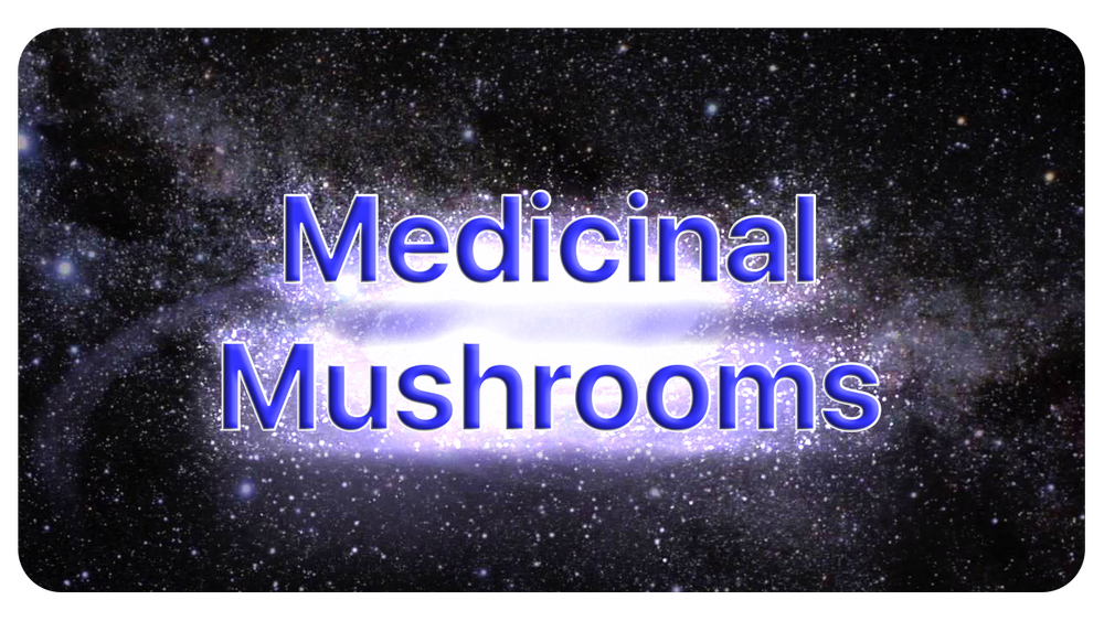 Paul Stamets - Mycologist