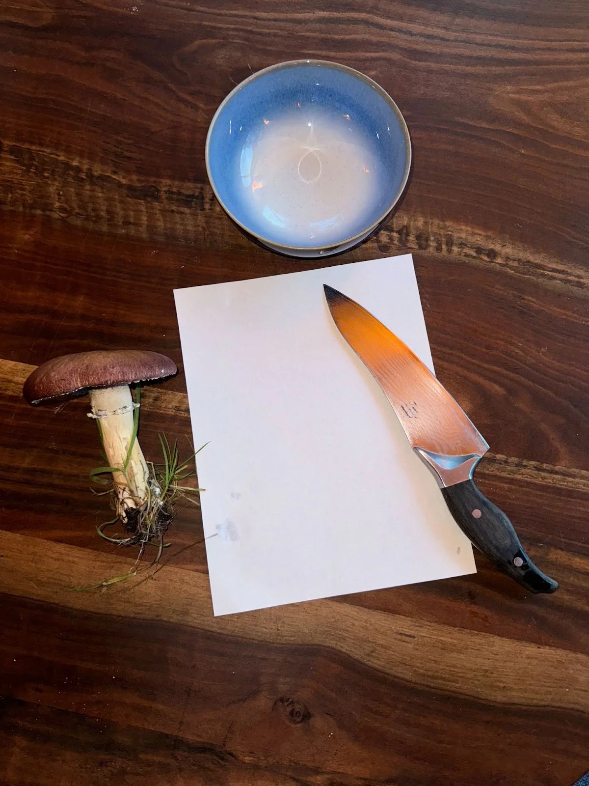 Spore Prints — Paul Stamets