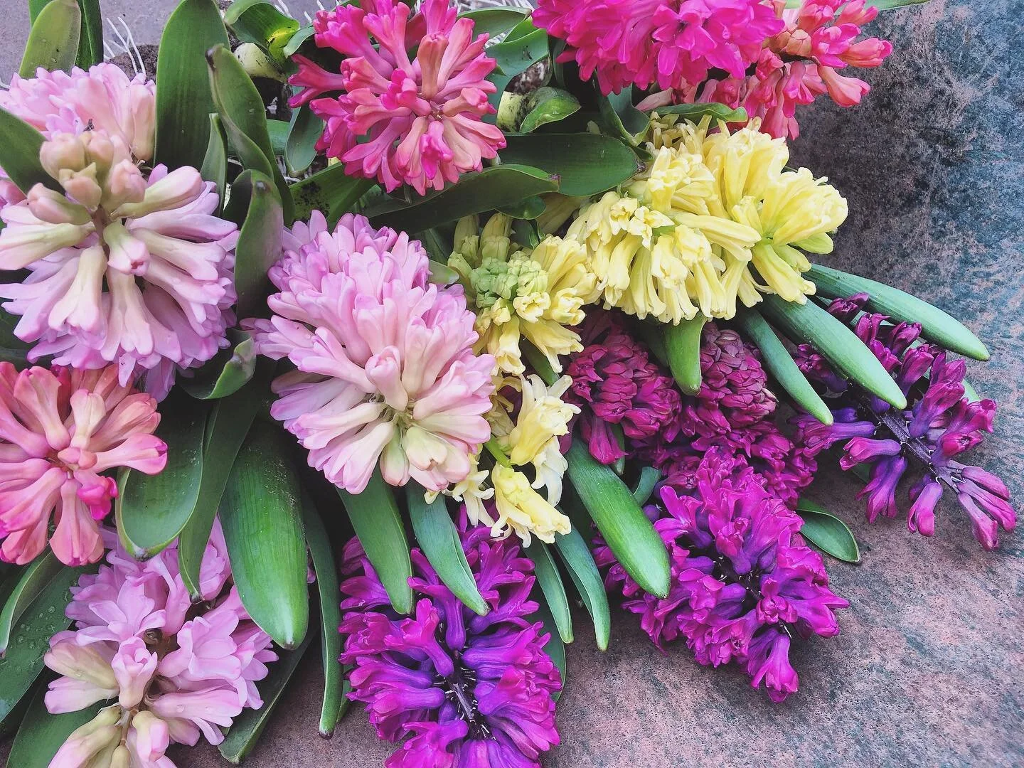 Tanglebloom | Vermont Florist and Flower Farm