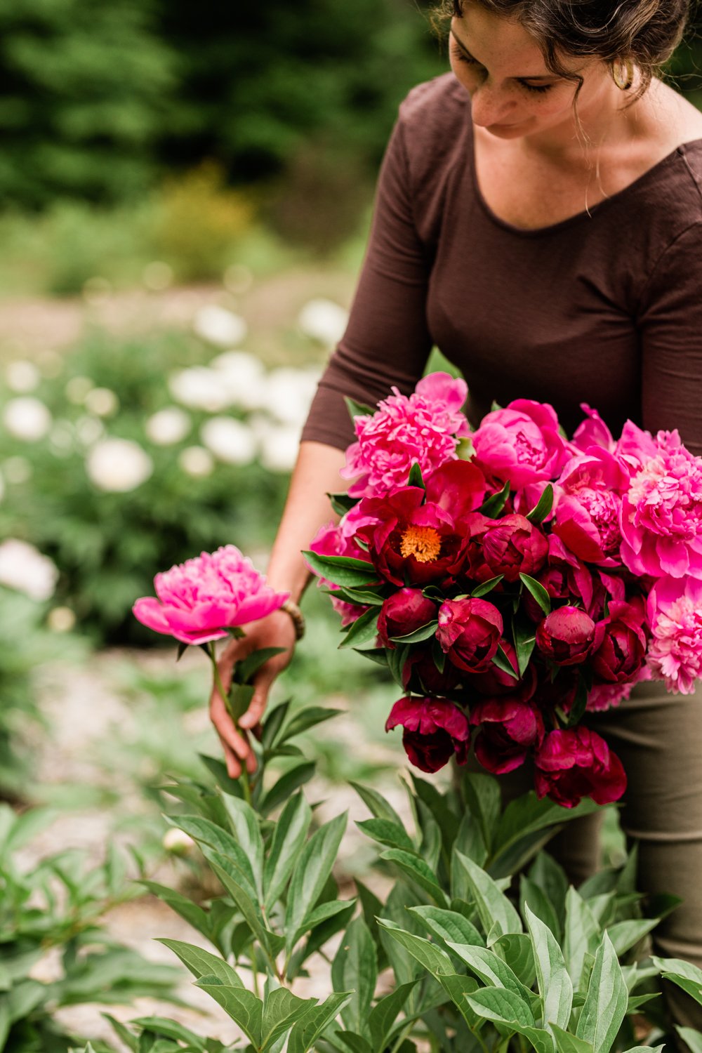 Grow Peonies for Profit on your Flower Farm — TANGLEBLOOM