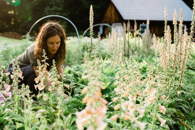 Flower Farmer Florist Coaching and Consulting — TANGLEBLOOM