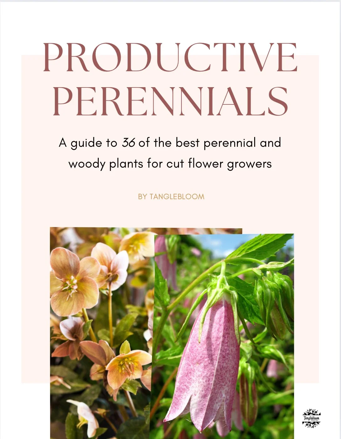 Perennials BONUS guide — TANGLEBLOOM