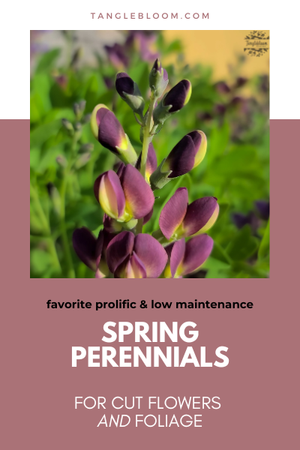 Favorite Spring Perennials for Cut Flowers - and Foliage — TANGLEBLOOM
