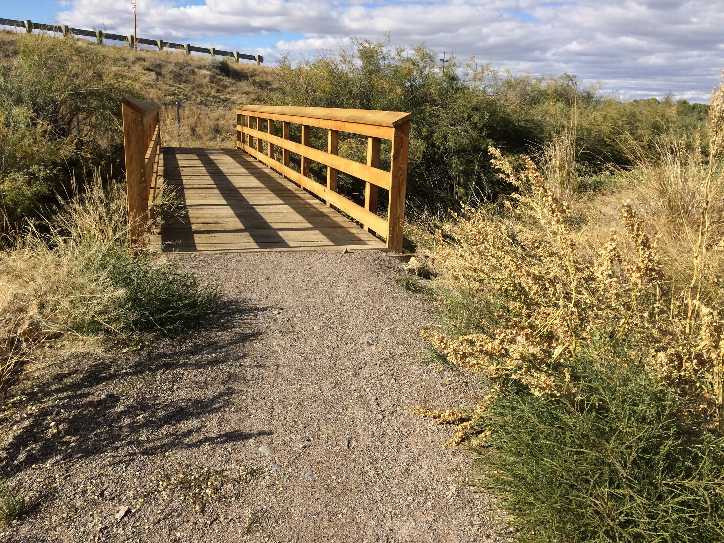 Beaverhead Trails Coalition Pigtail Trail & Owen Ditch Bridge