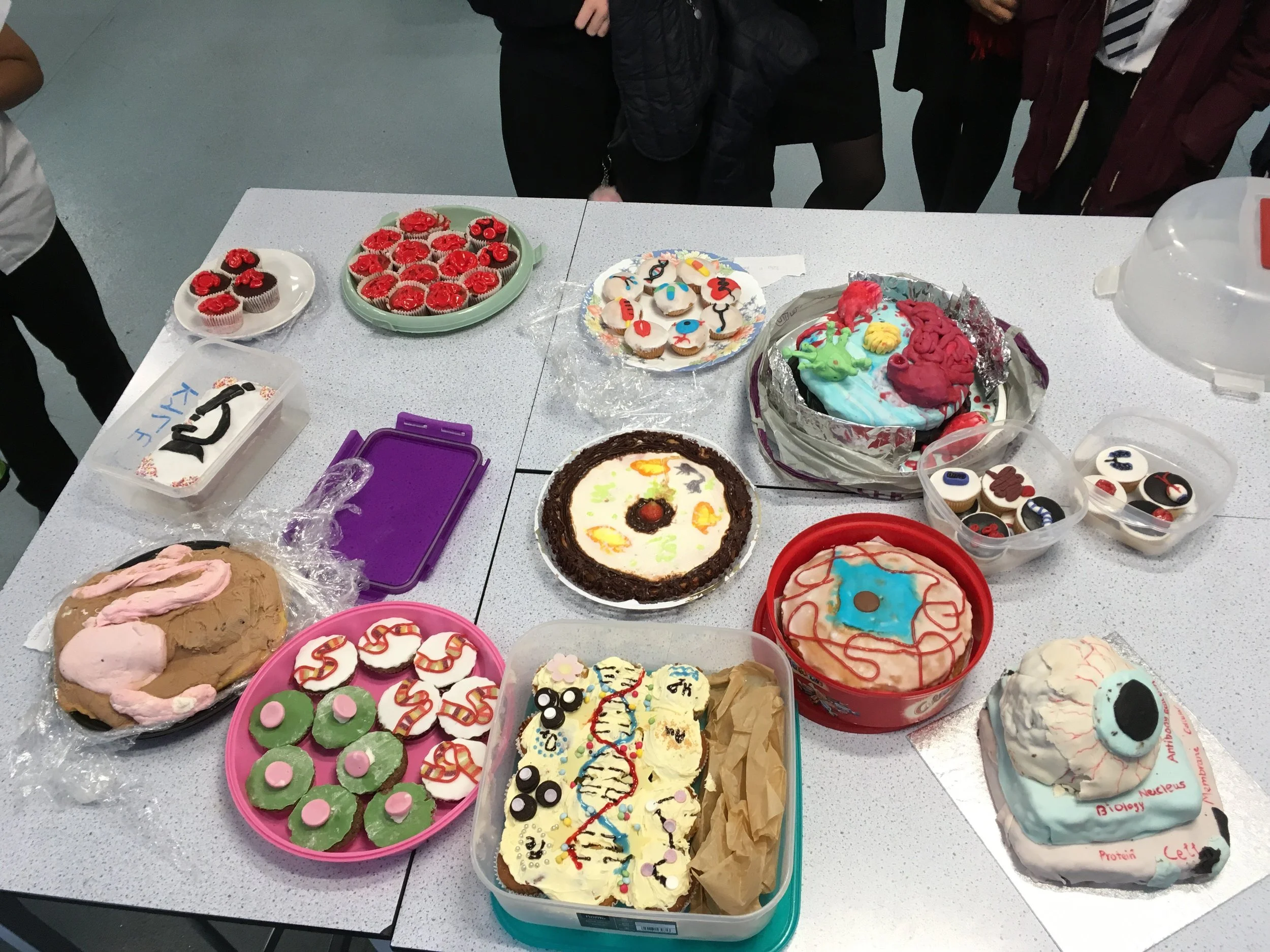 Bake Off takes a biological turn at Murray Park School in Derby ...