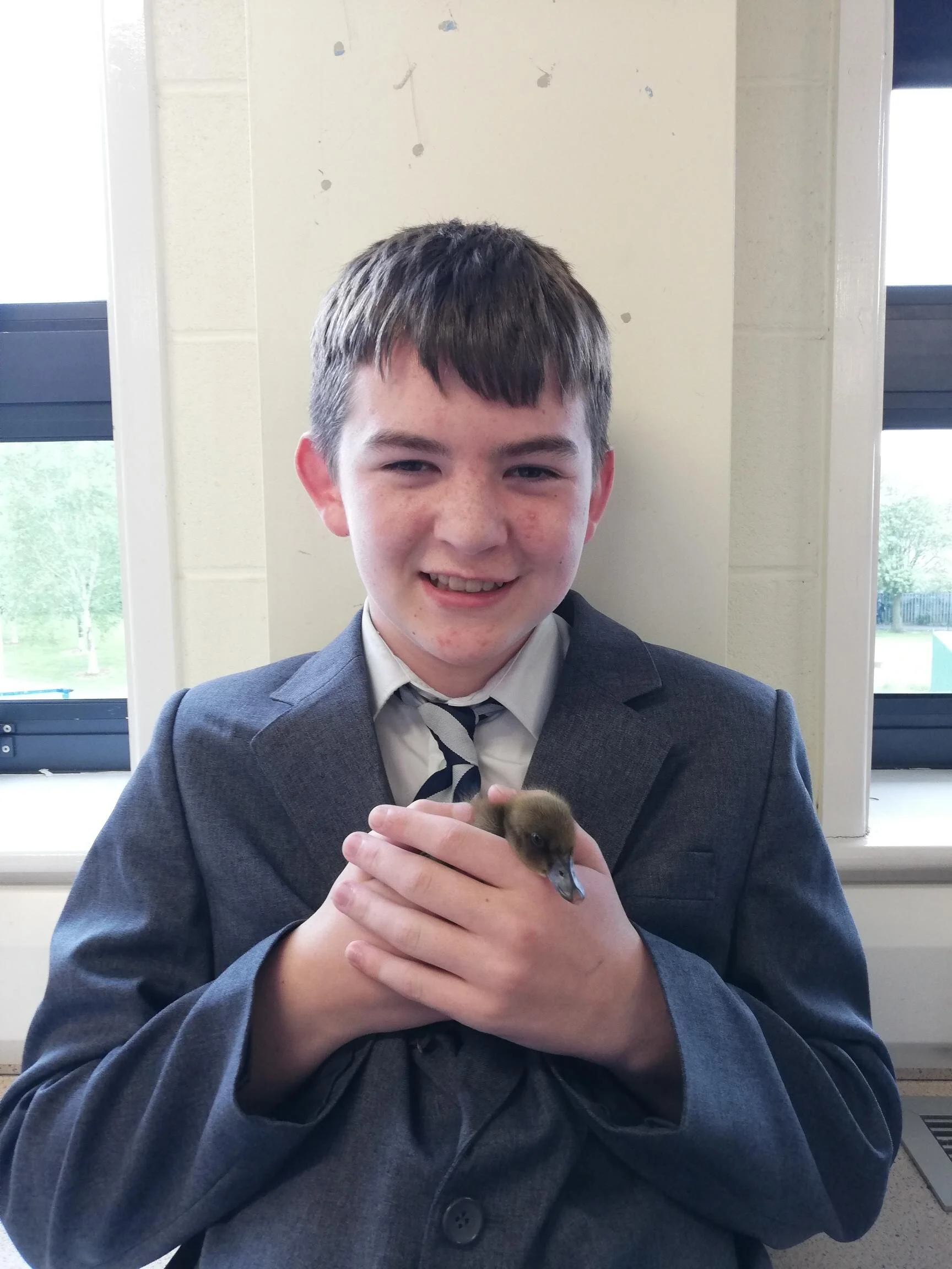 Derbyshire School Da Vinci Academy hatches ducks as people watch from ...