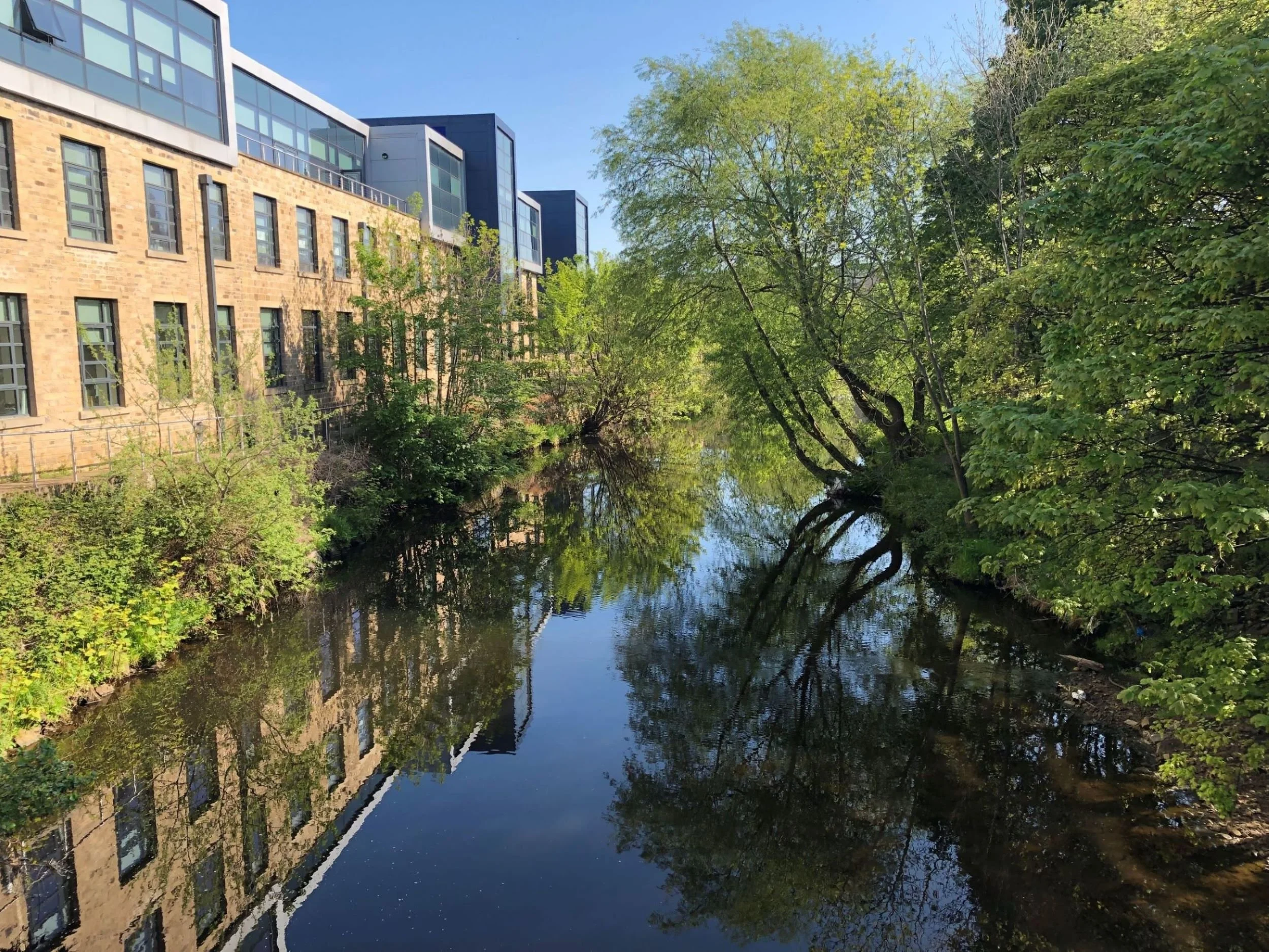 Employees step out of the lab and office to help enhance beautiful ...