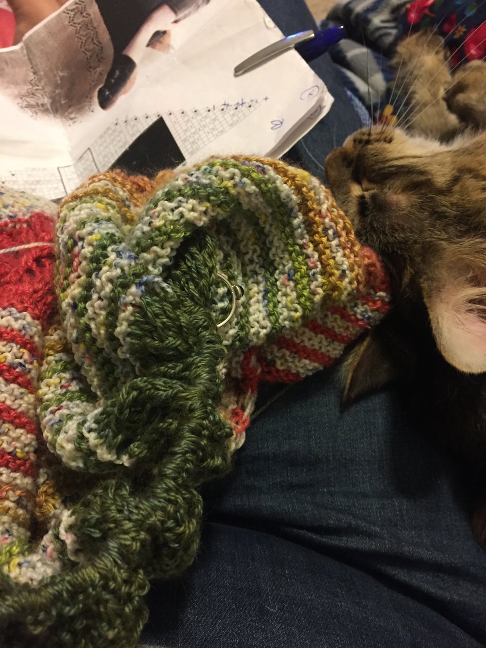 Waiting for Rain — Librarian Yarns