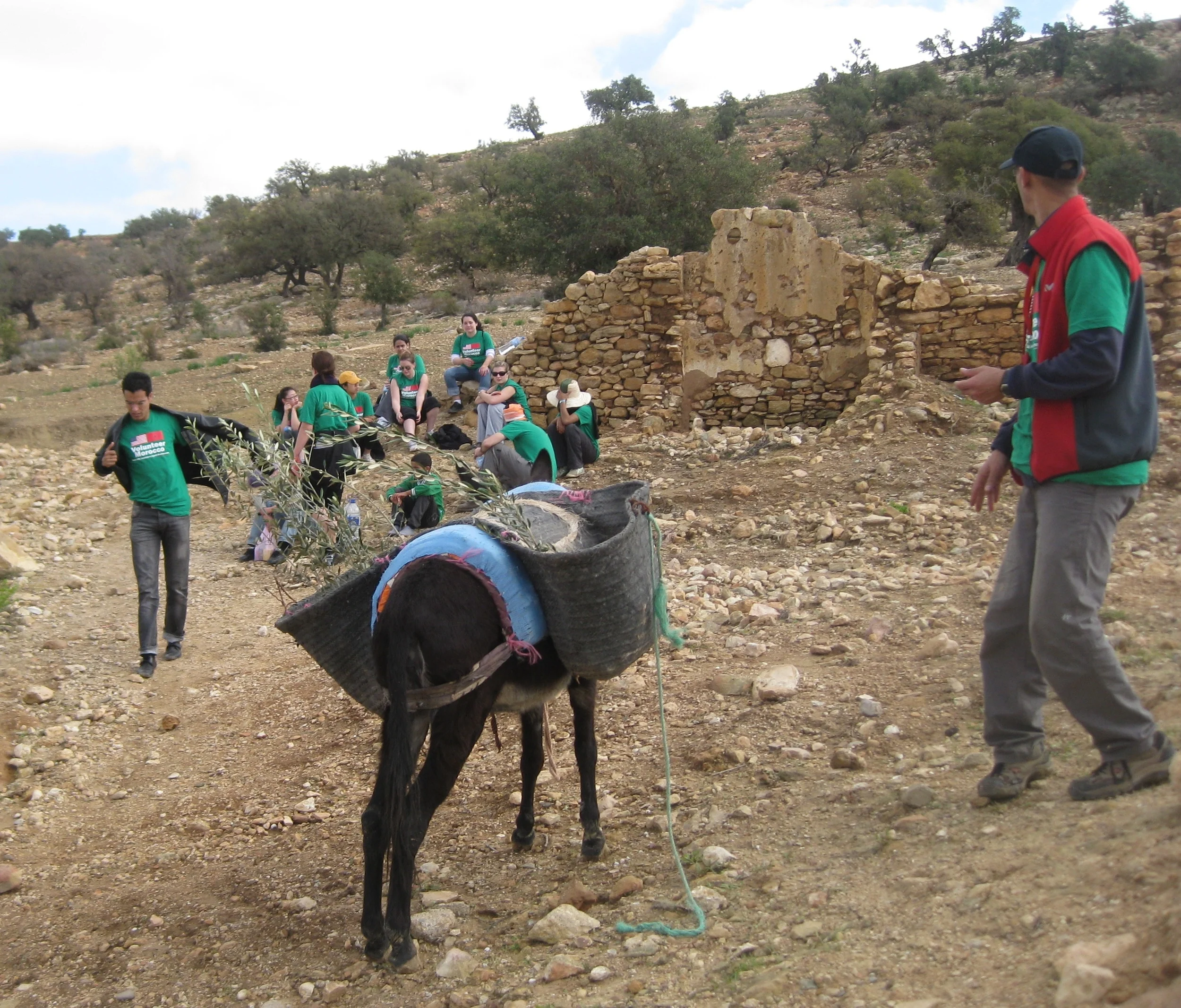 Planting Trees — VOLUNTEER MOROCCO