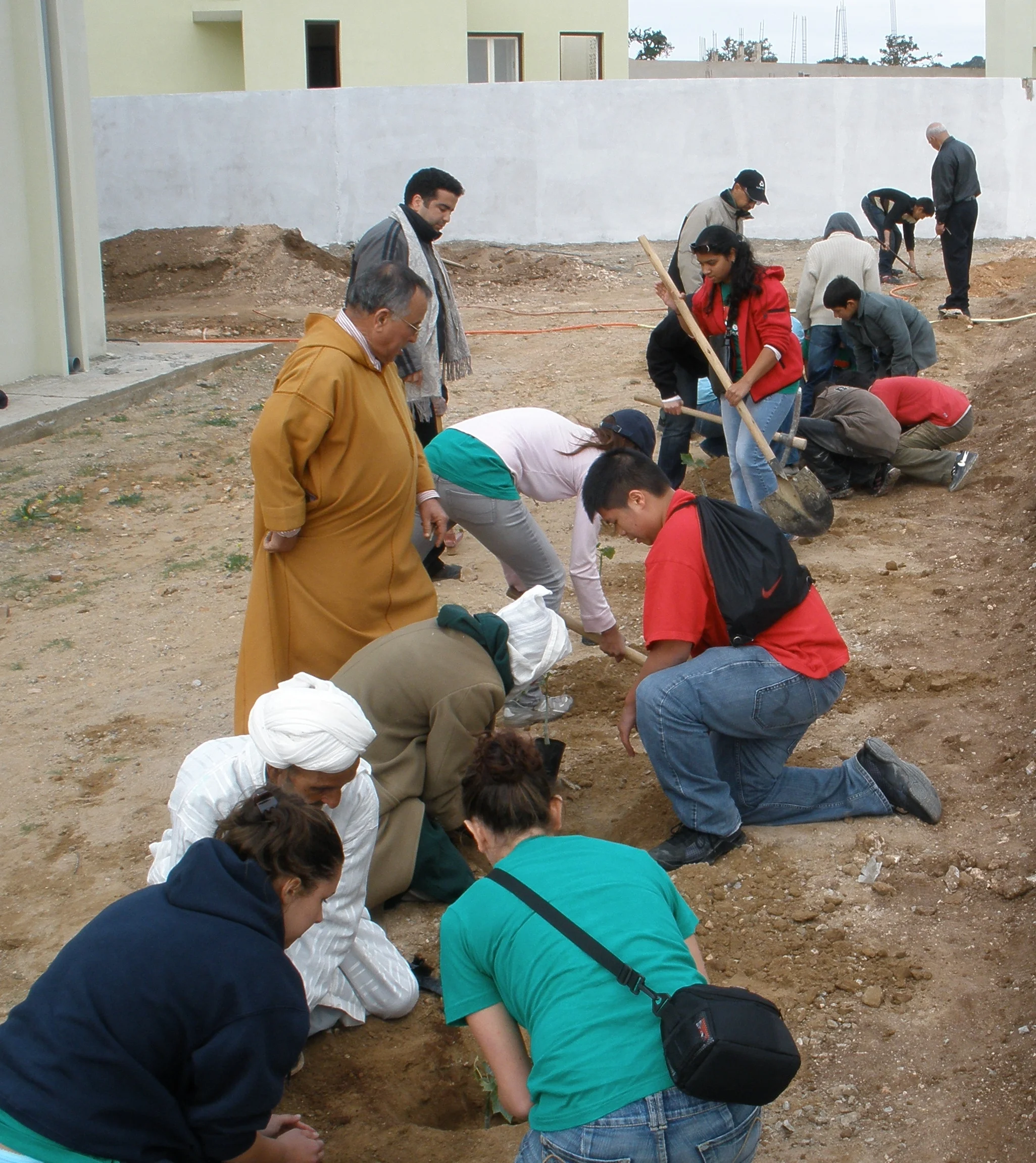 Planting Trees — VOLUNTEER MOROCCO