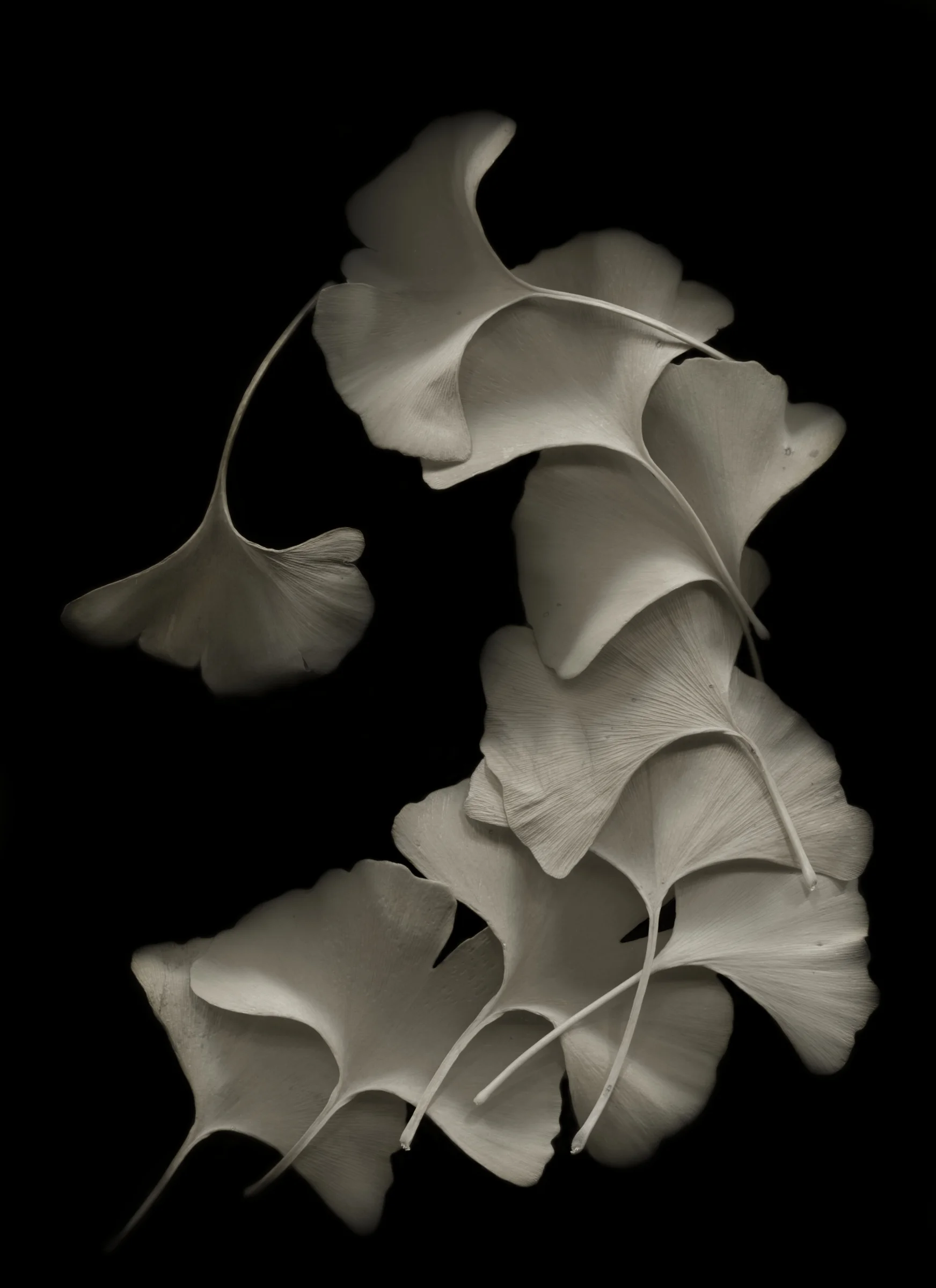 Final Works — Jim Witmer