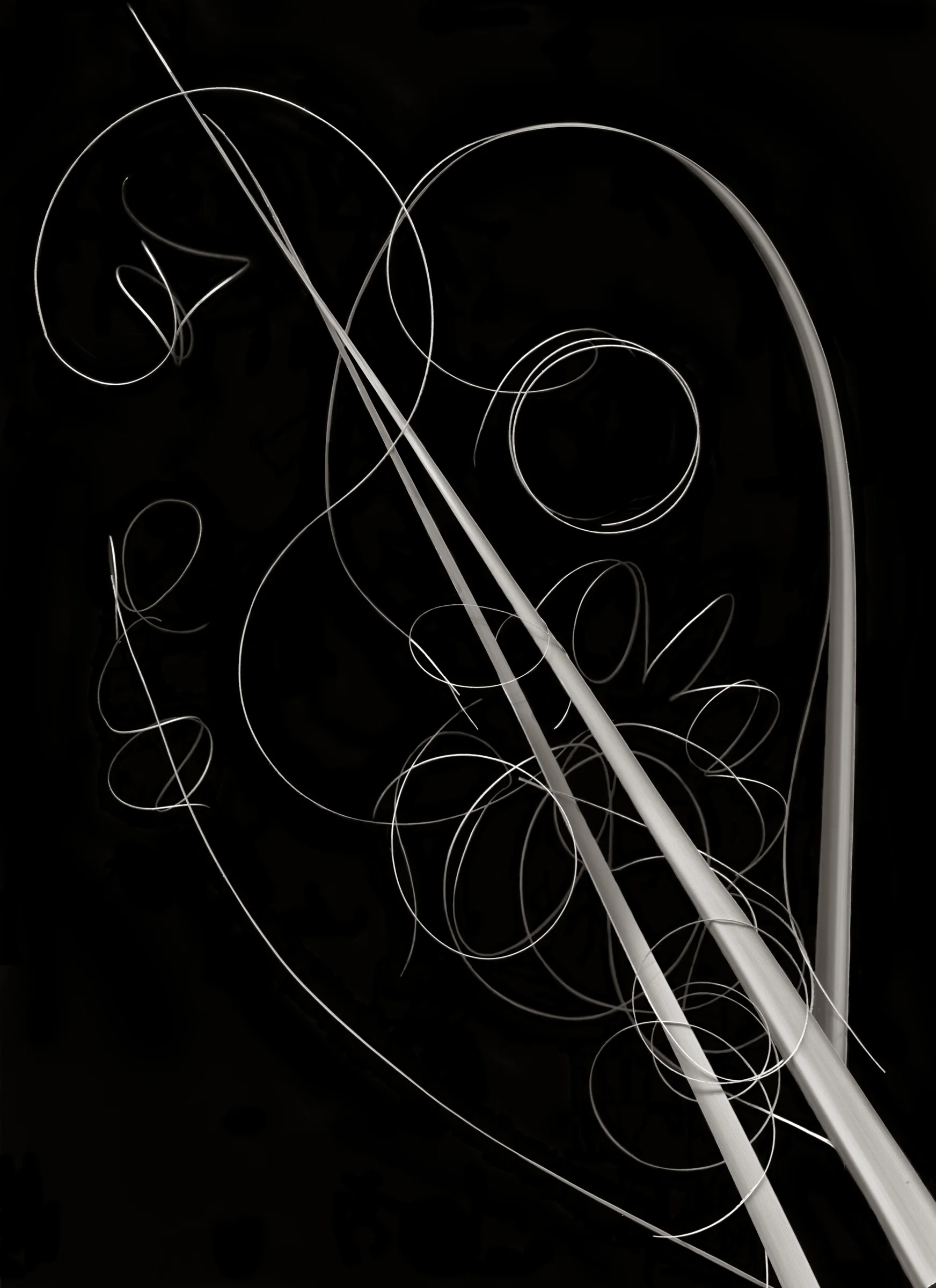 Final Works — Jim Witmer