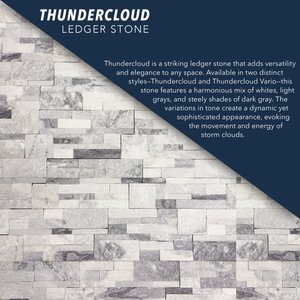 Introducing: A First Look | Topcu Tile + Stone