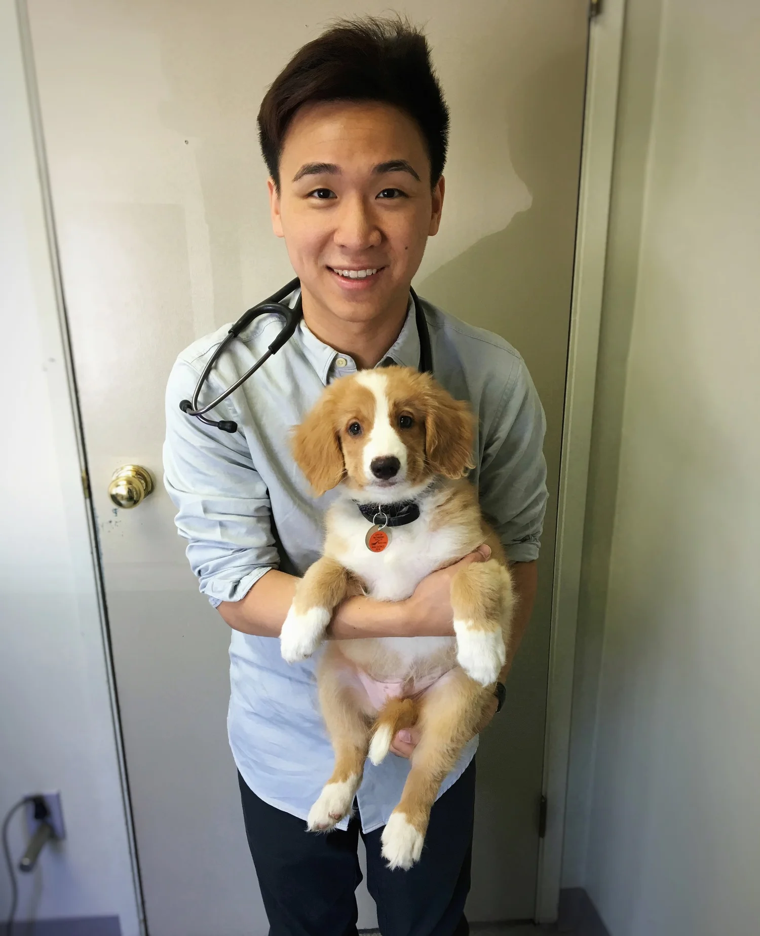 Our Veterinarians — West King Edward animal clinic