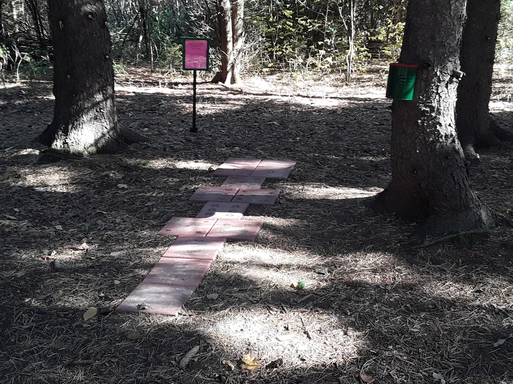 Nature's Learning Landscape — Caledonia Conservancy