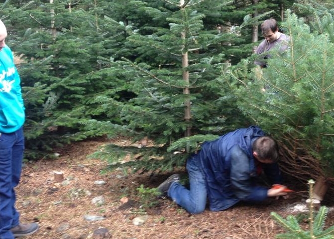 Keith & Scott Tree Farm