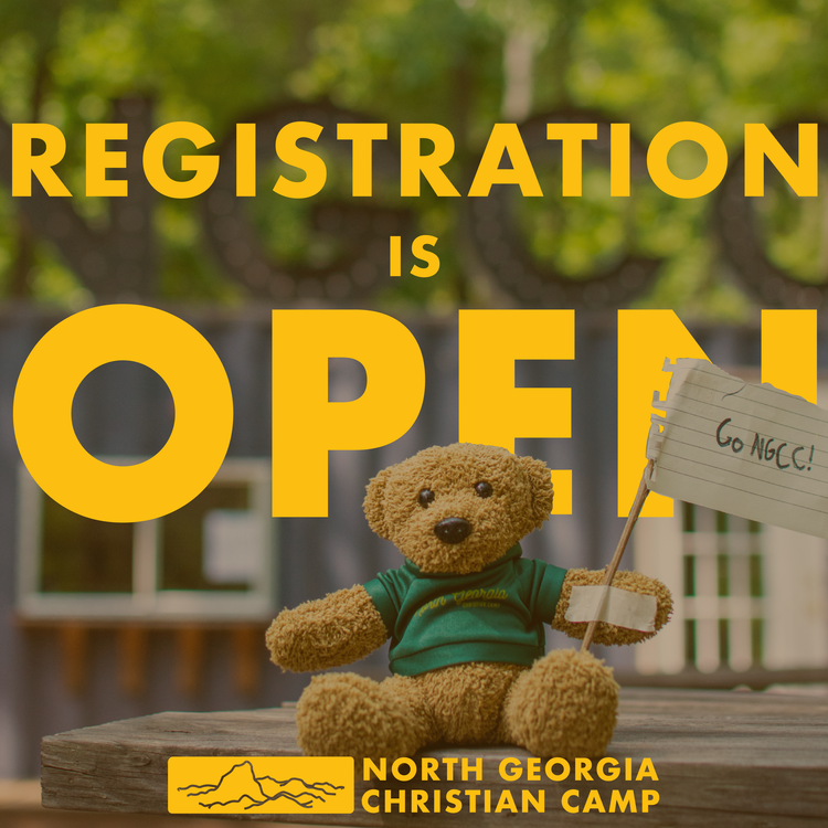 NORTH GEORGIA CHRISTIAN CAMP