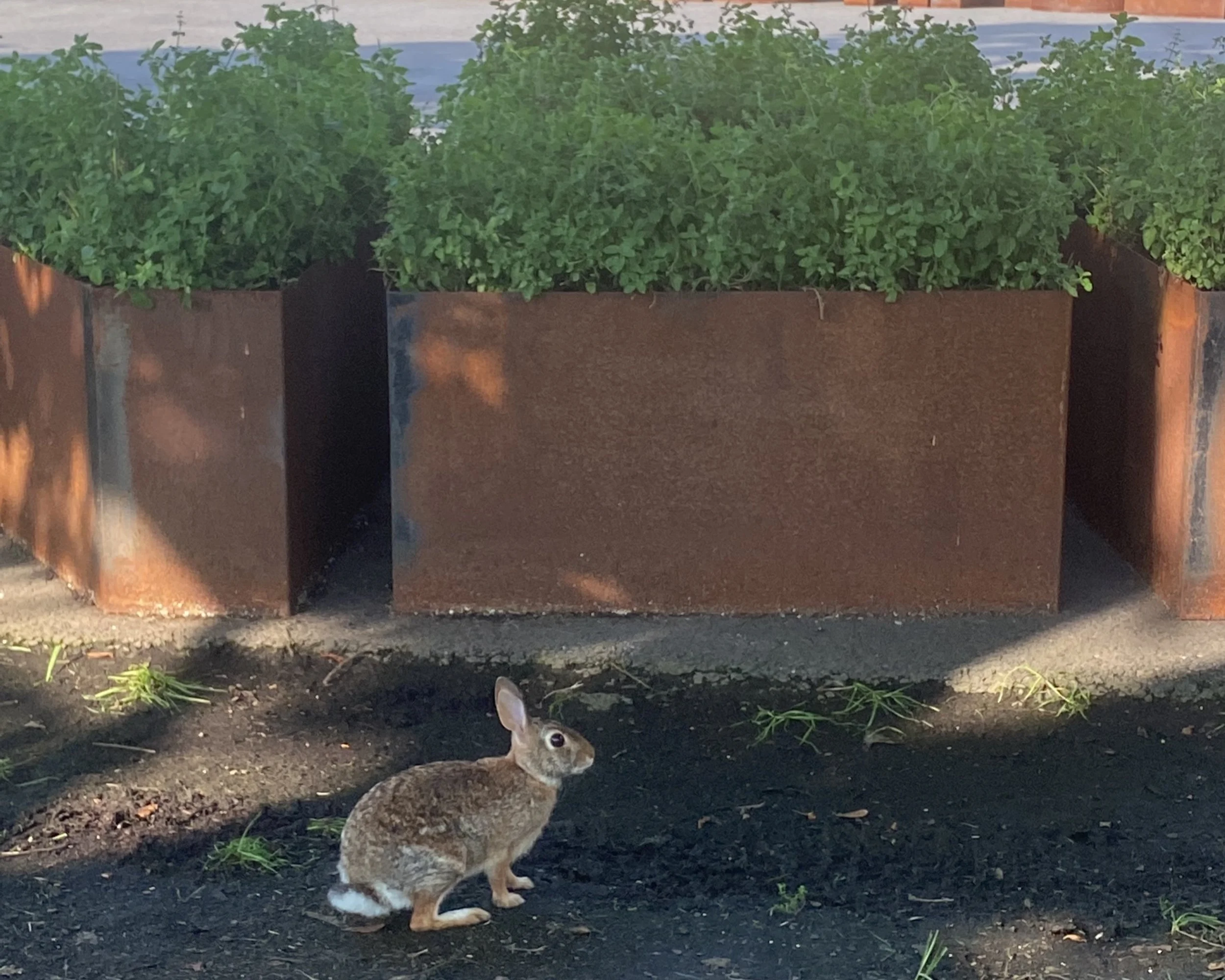 Summertime Strong at Lot Lab — NOW AND THERE