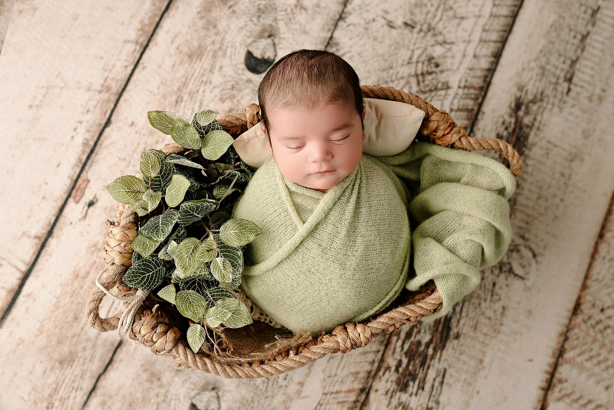 Jennifer Mount Photography