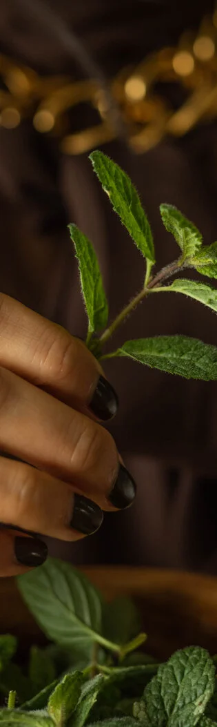 Methodology Premium Food Delivery: Clean, Custom, Comfort Food