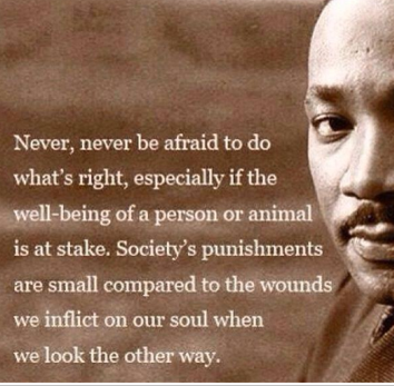 Intactivist Inspiration — Your Whole Baby