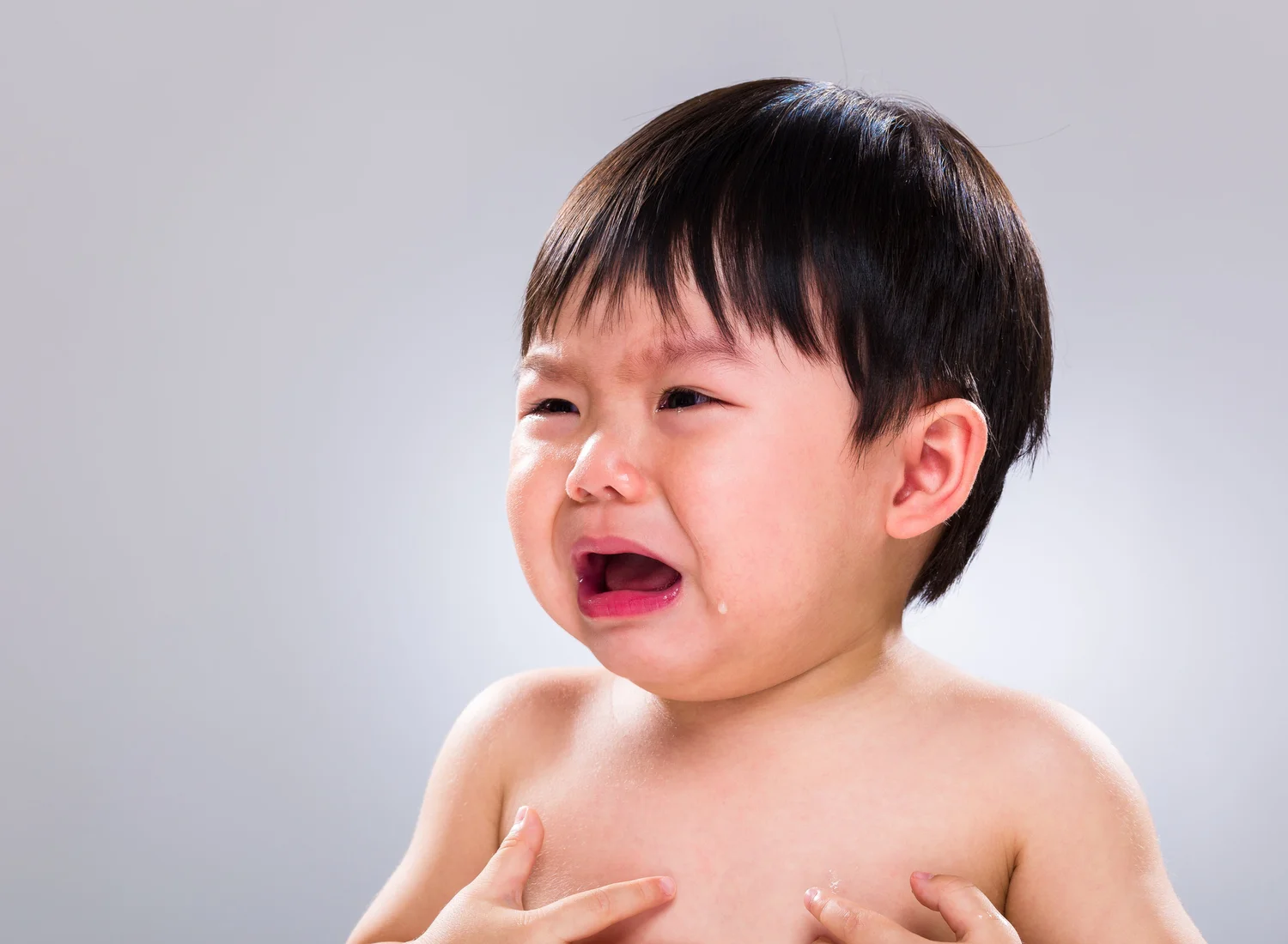 Smegma | What is Smegma | Smegma Define | Smegma Meaning | Smegma ...