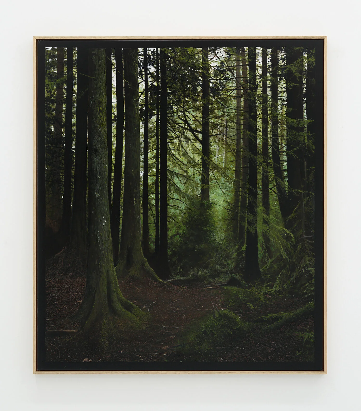 Grant Nimmo — Daine Singer