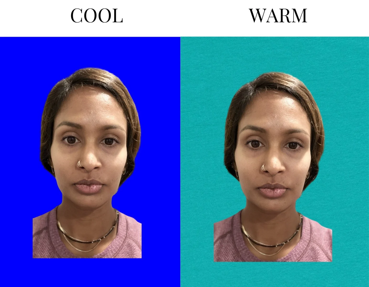 COLOR ANALYSIS — Project Bee Consulting