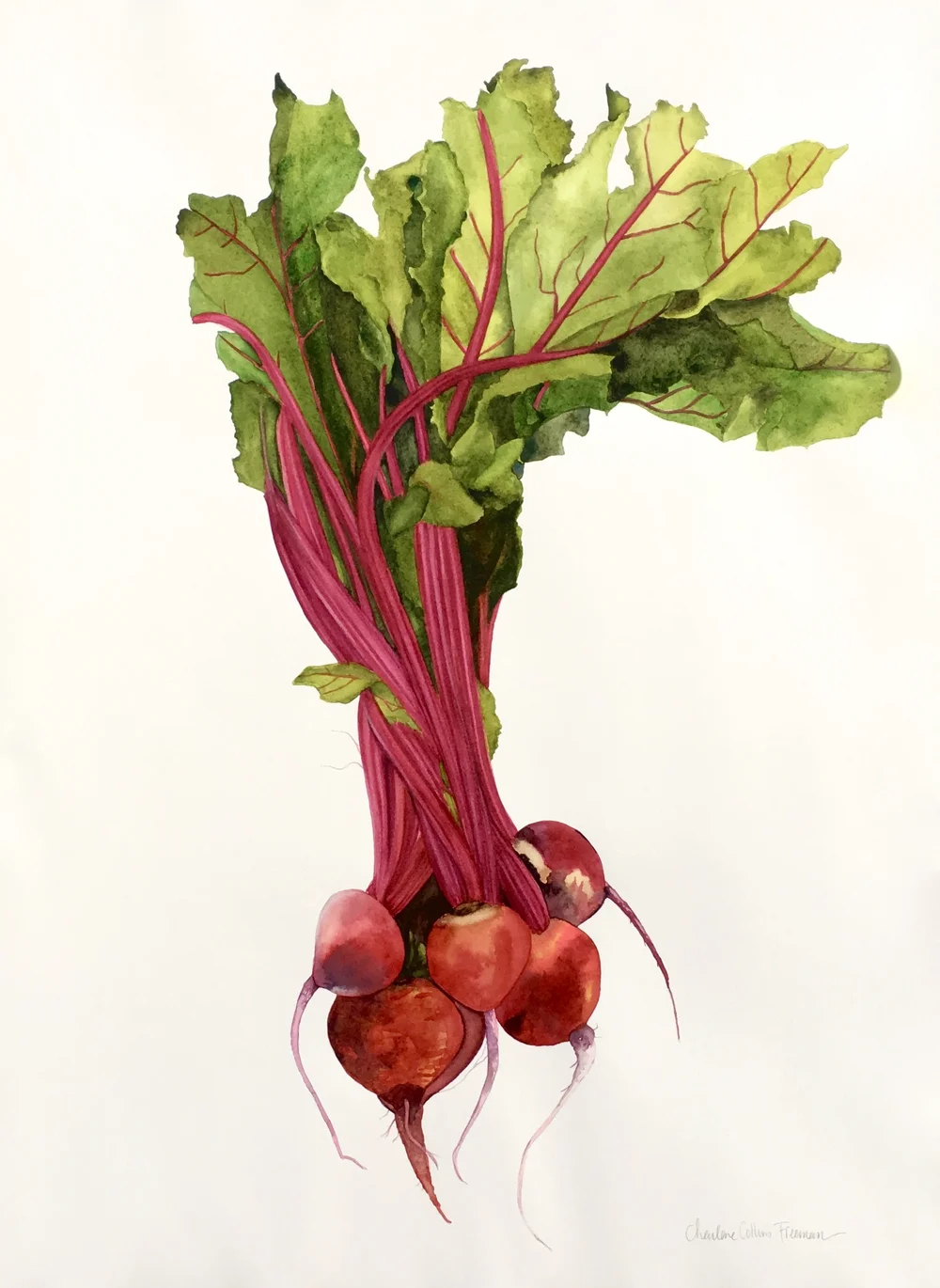 Beet Painting