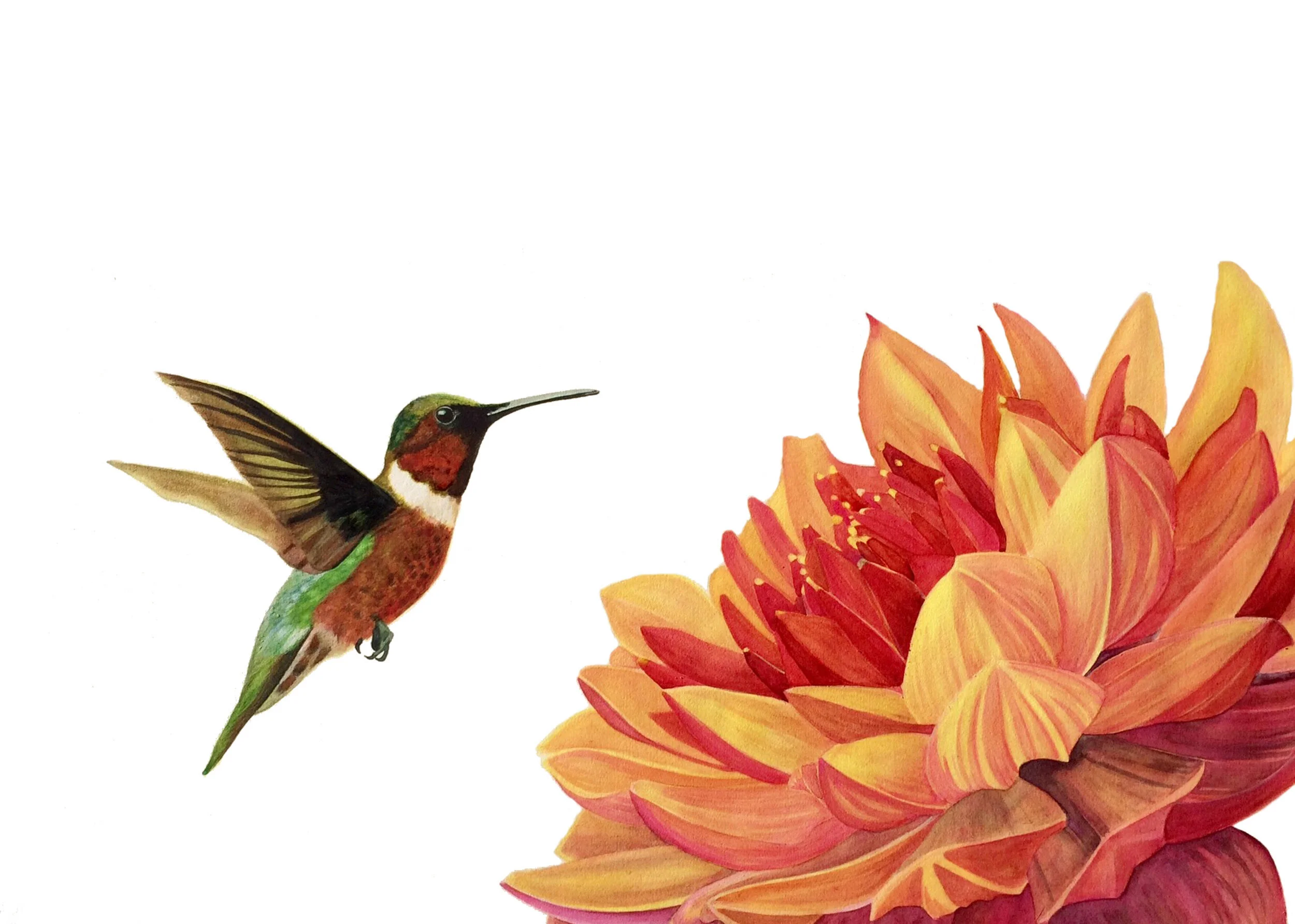 From ideas to finished paintings — Charlene Collins Freeman Art