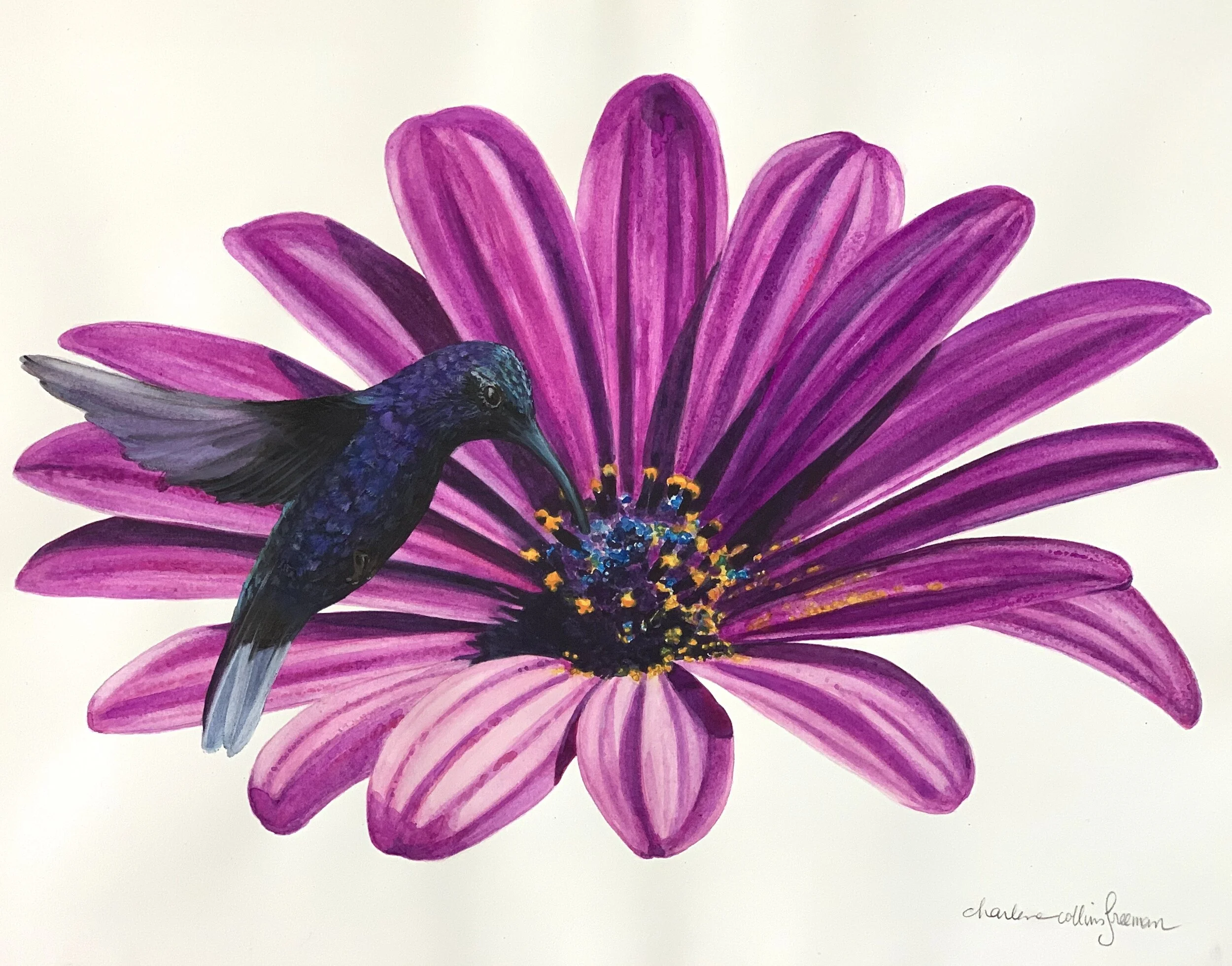 Gallery — Charlene Collins Freeman Art