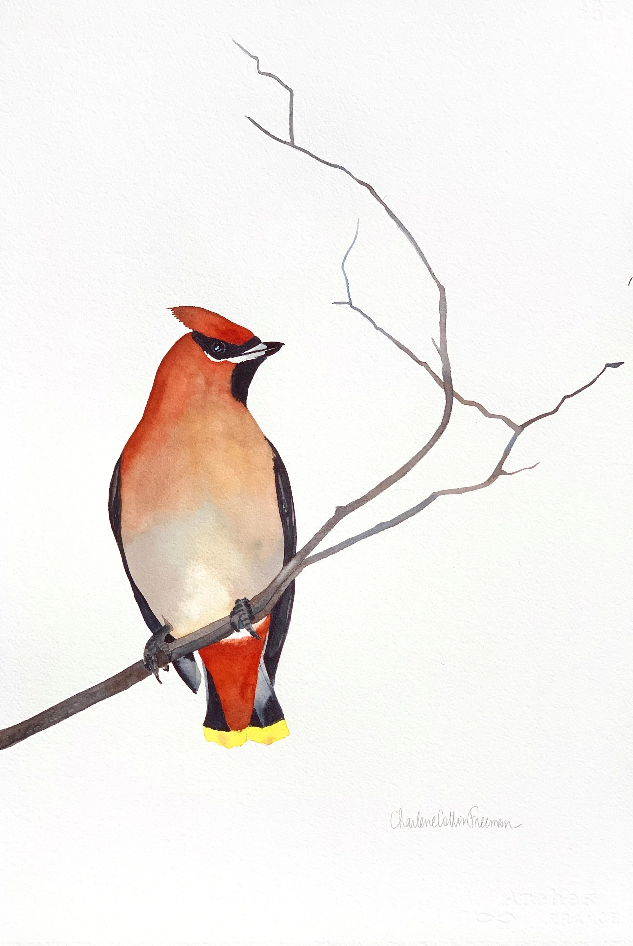 Gallery — Charlene Collins Freeman Art