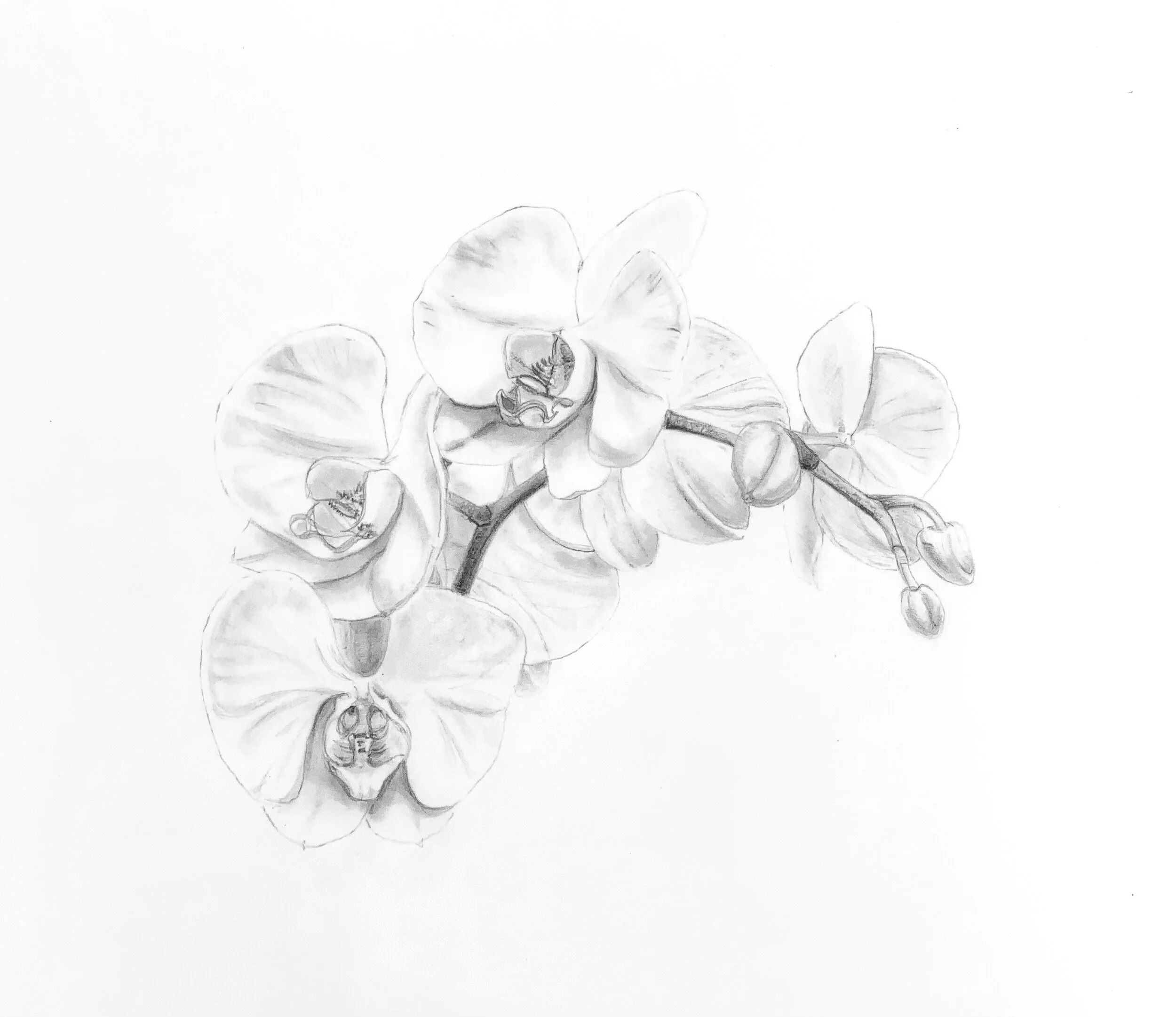 Blog — Charlene Collins Freeman Art