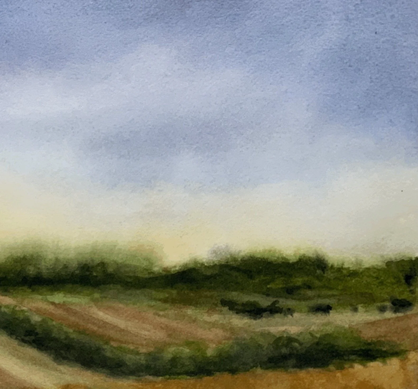 Gallery — Charlene Collins Freeman Art