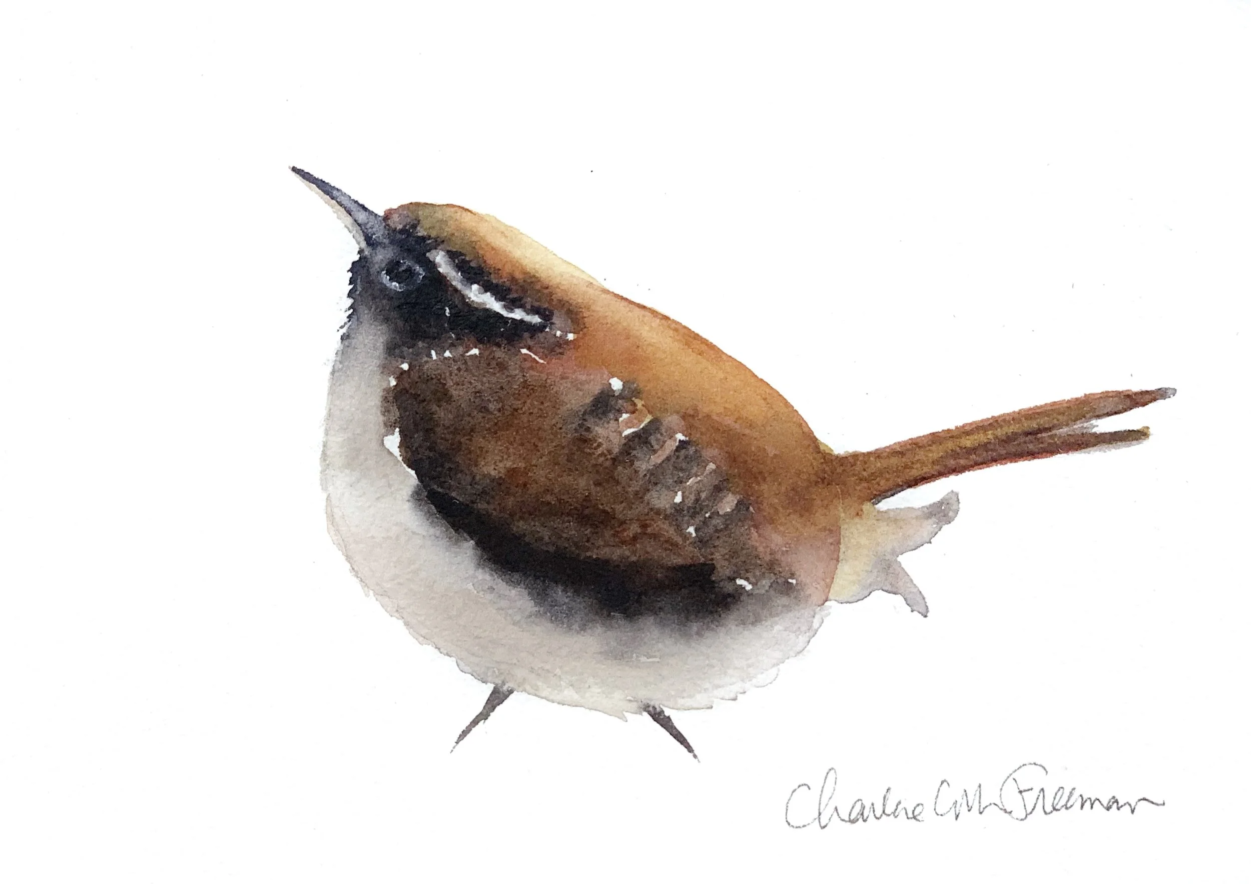 Gallery — Charlene Collins Freeman Art