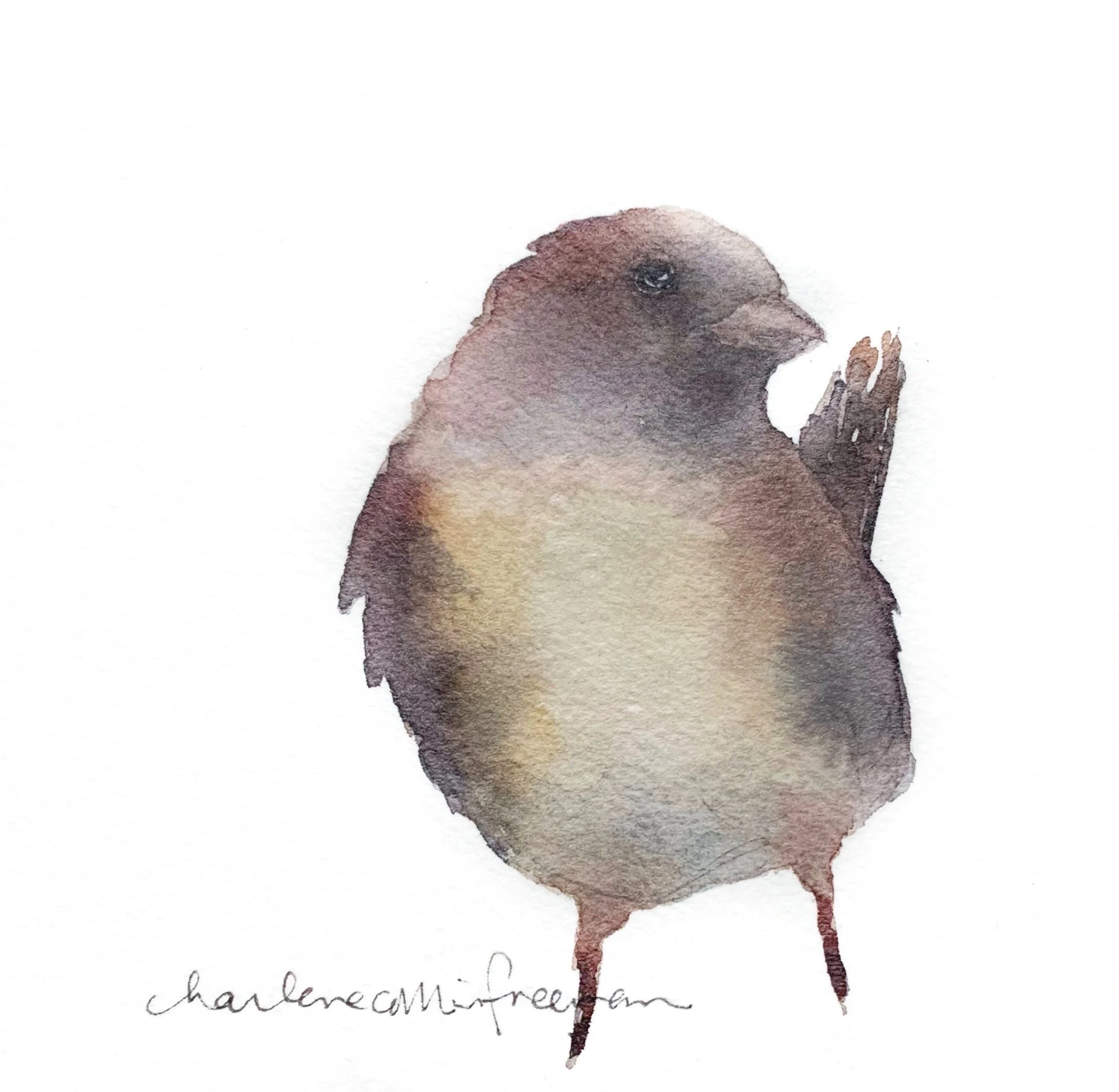 Gallery — Charlene Collins Freeman Art