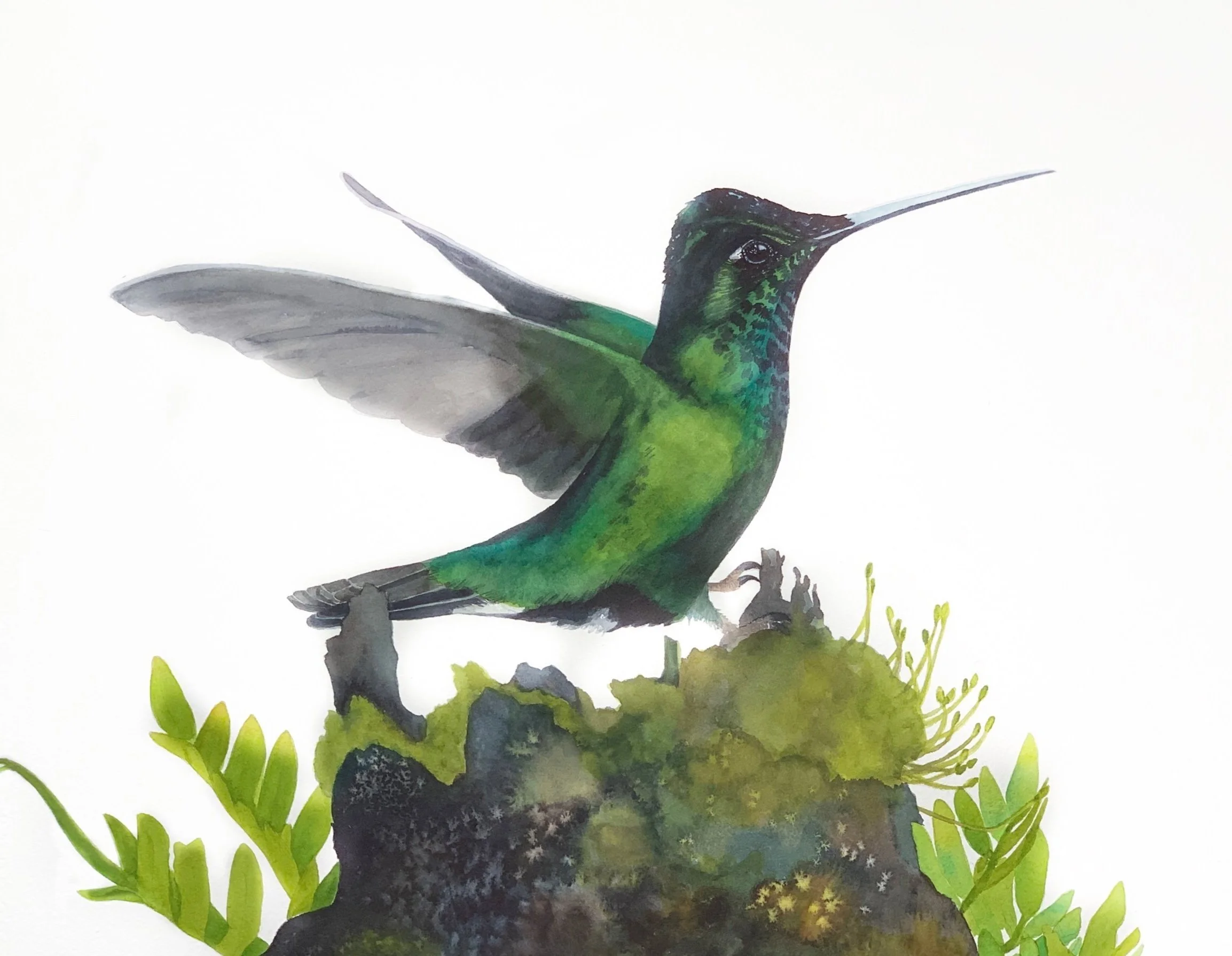 Gallery — Charlene Collins Freeman Art