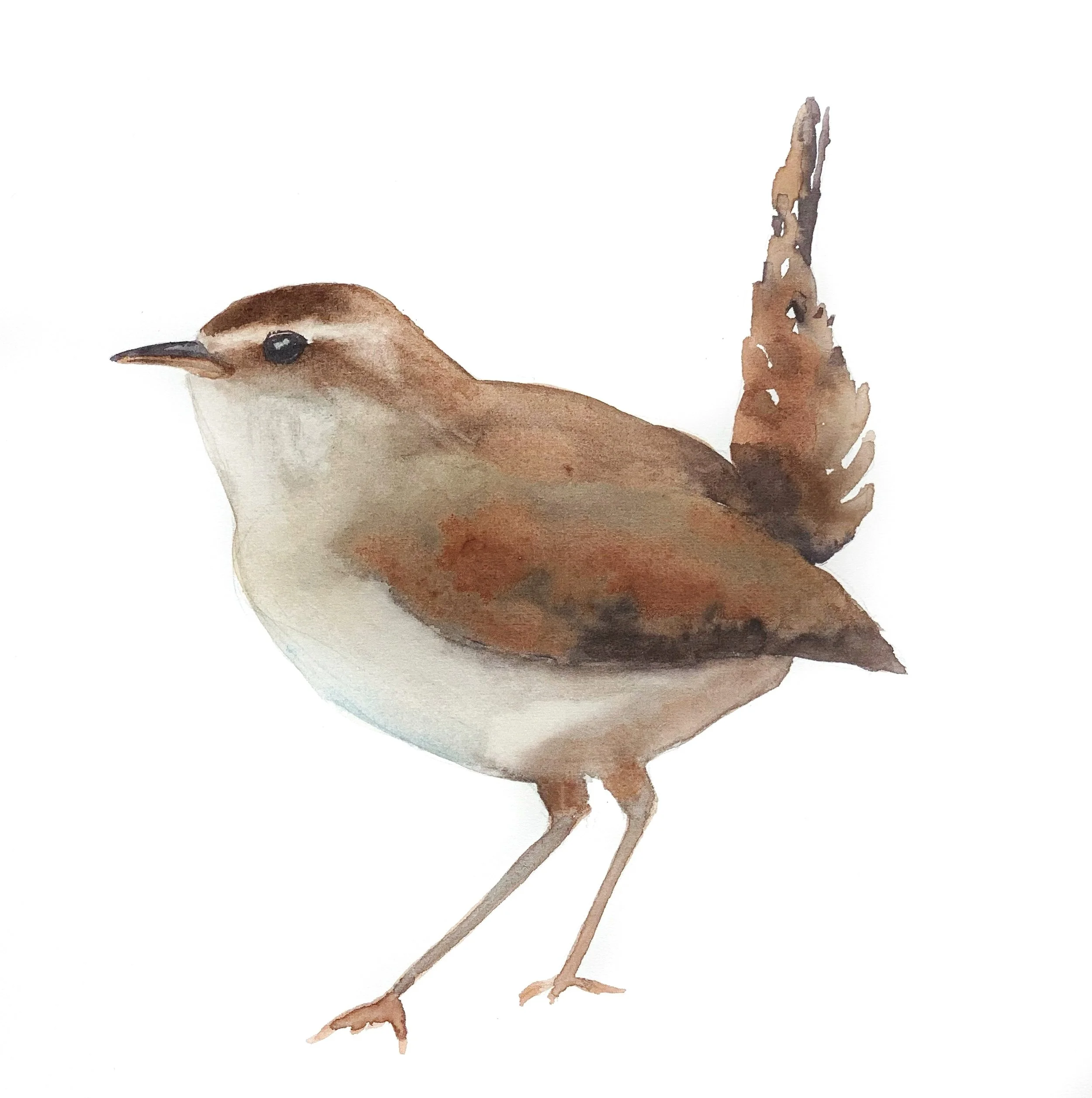 Gallery — Charlene Collins Freeman Art