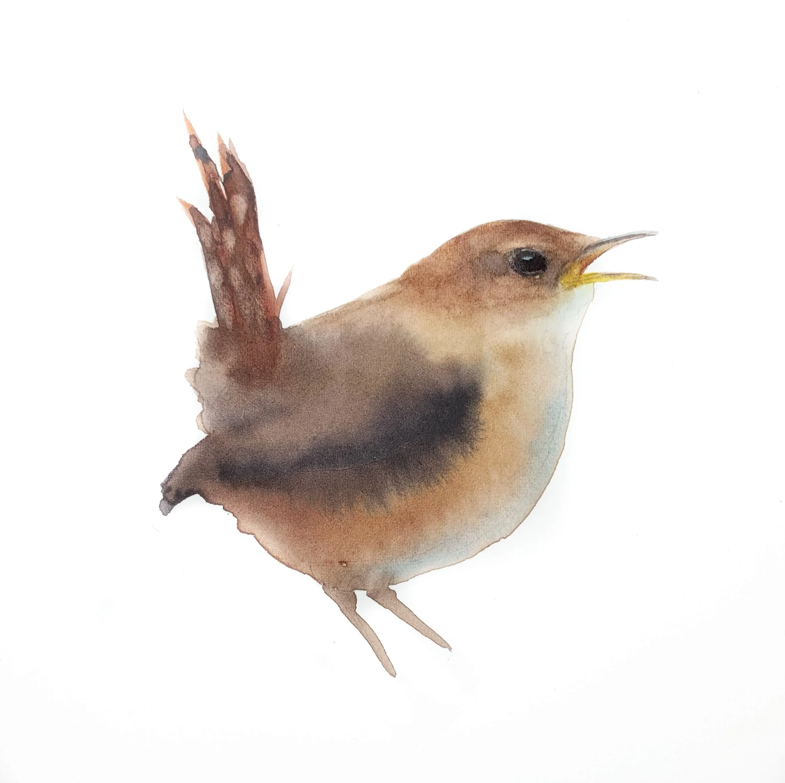 Gallery — Charlene Collins Freeman Art