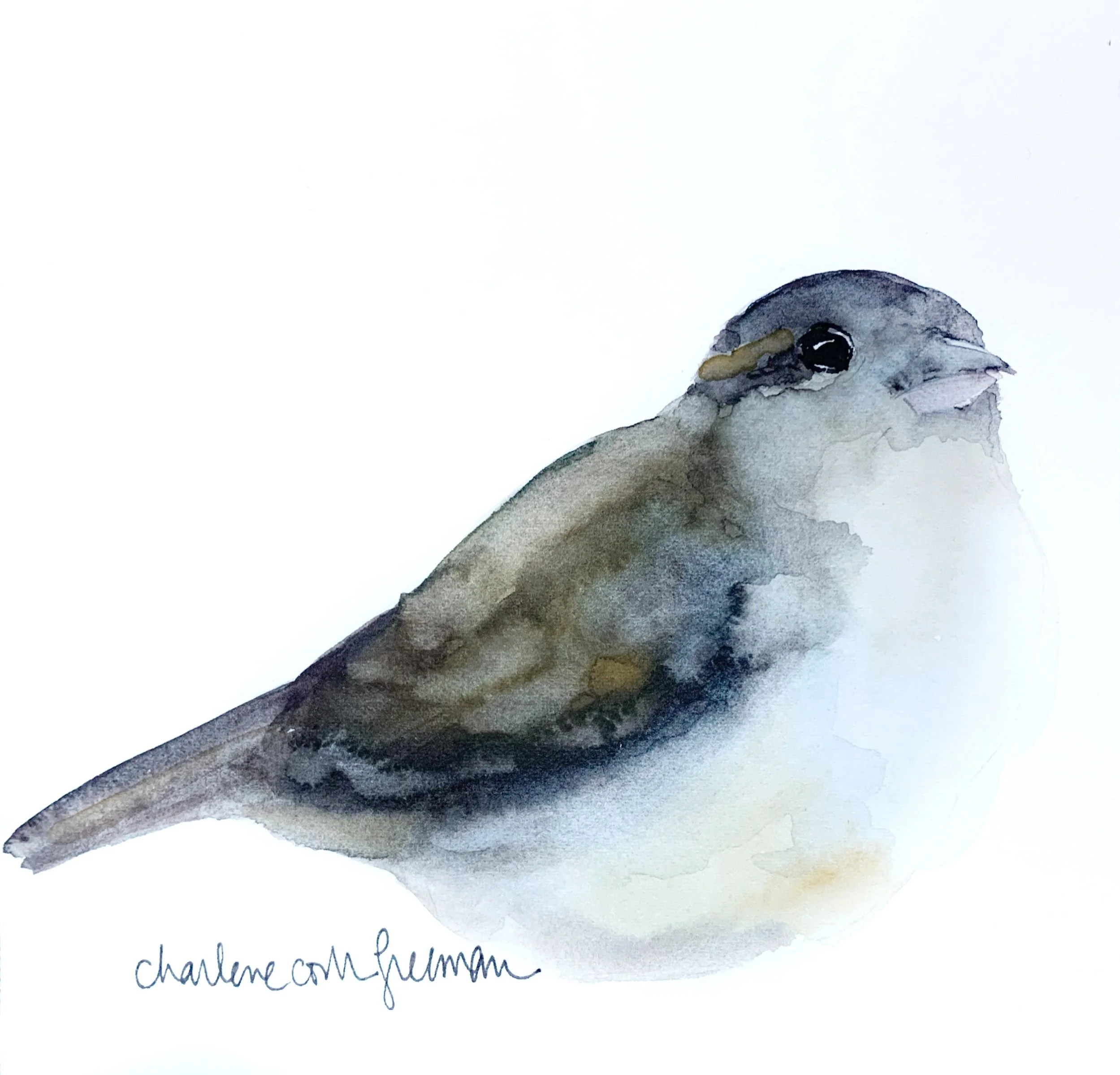 Gallery — Charlene Collins Freeman Art