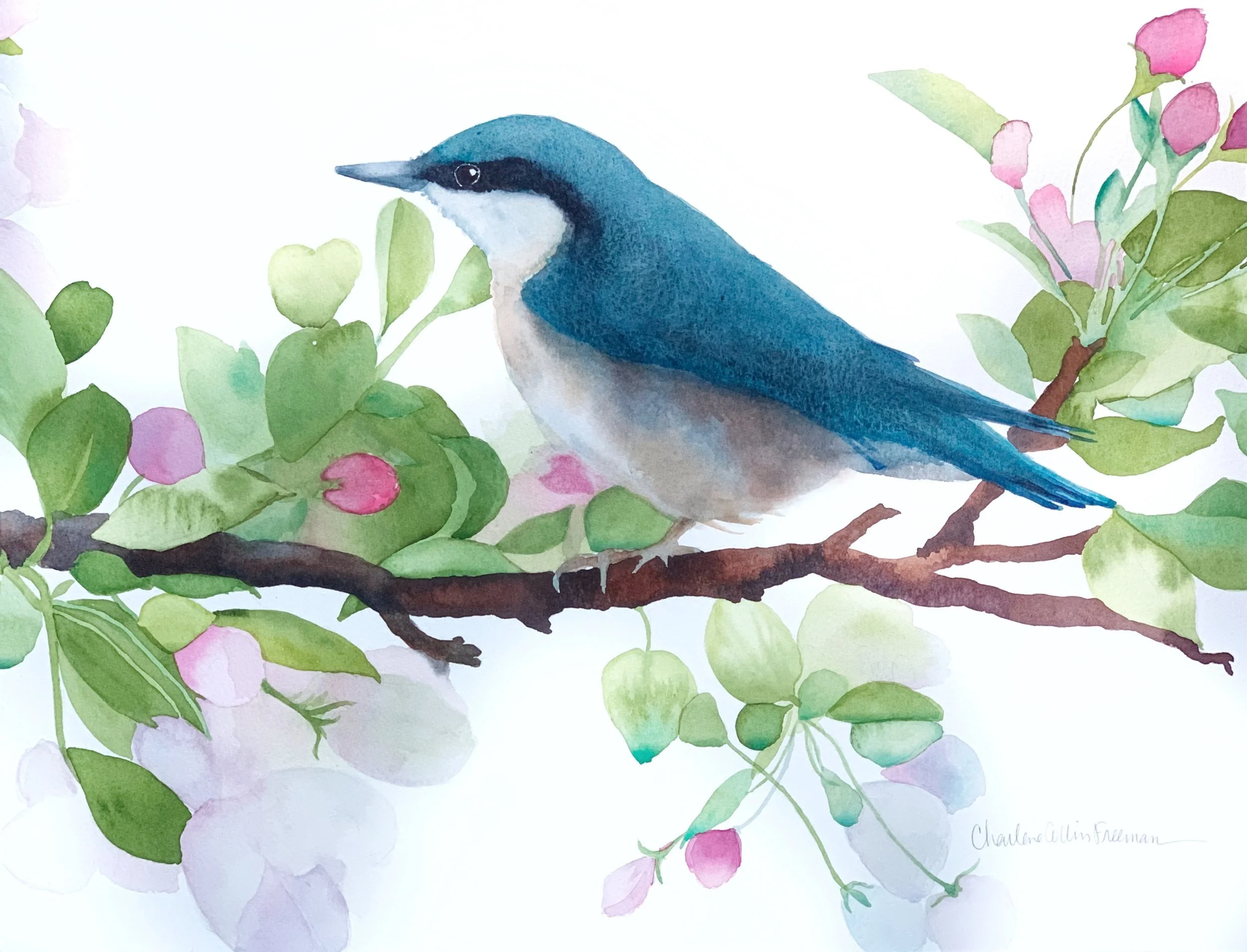 Gallery — Charlene Collins Freeman Art