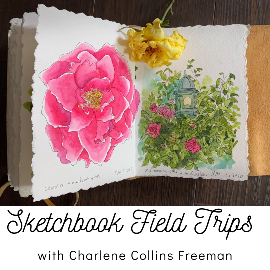 Workshops — Charlene Collins Freeman Art