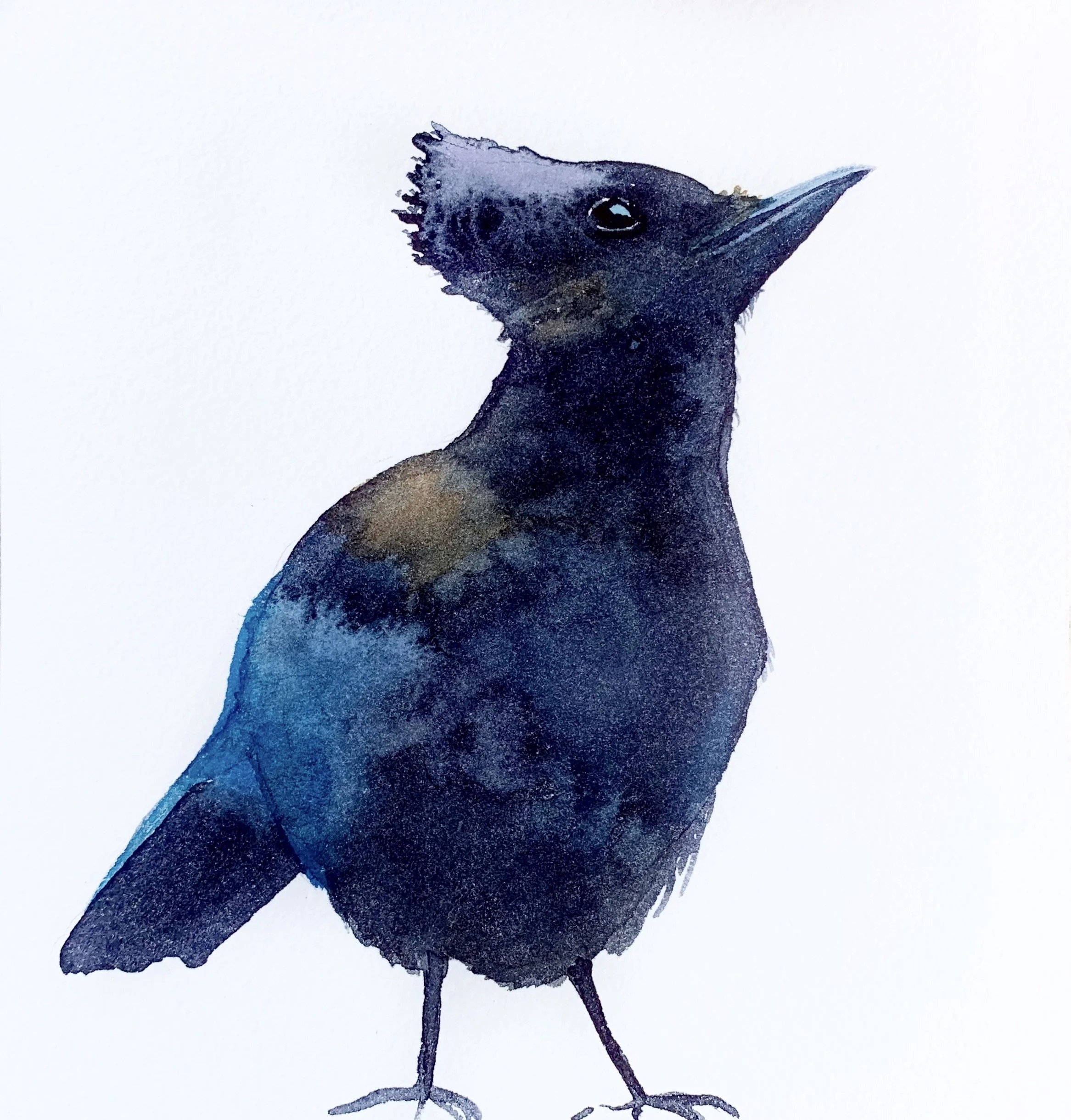 Gallery — Charlene Collins Freeman Art