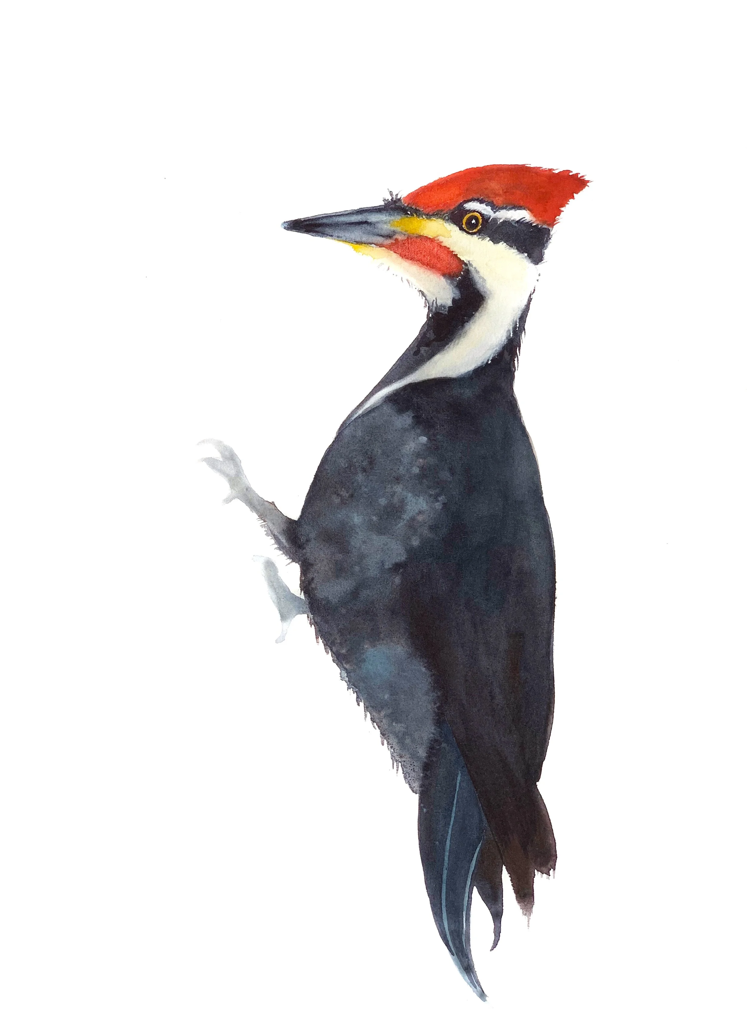 Gallery — Charlene Collins Freeman Art