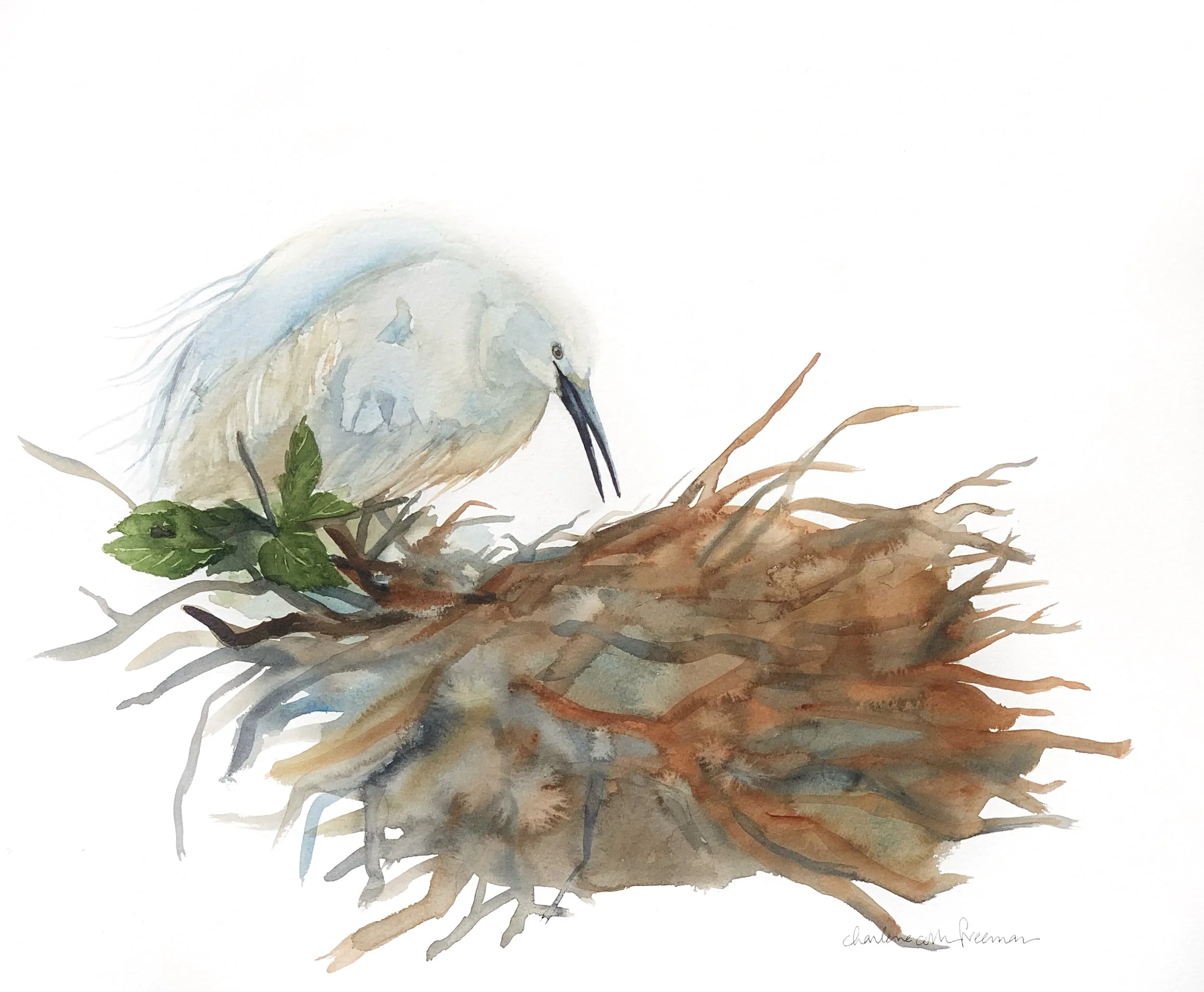 Gallery — Charlene Collins Freeman Art