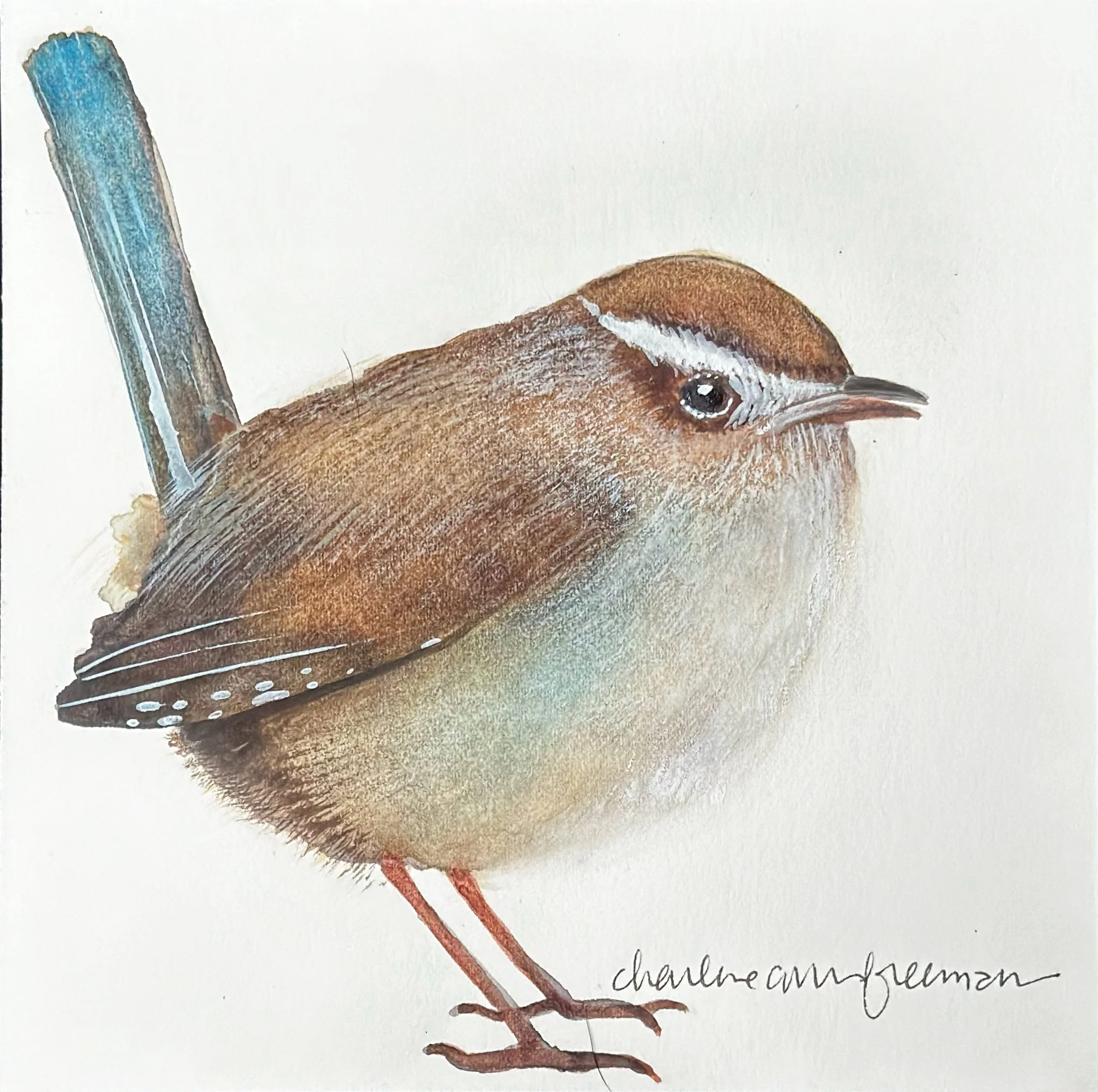 Gallery — Charlene Collins Freeman Art