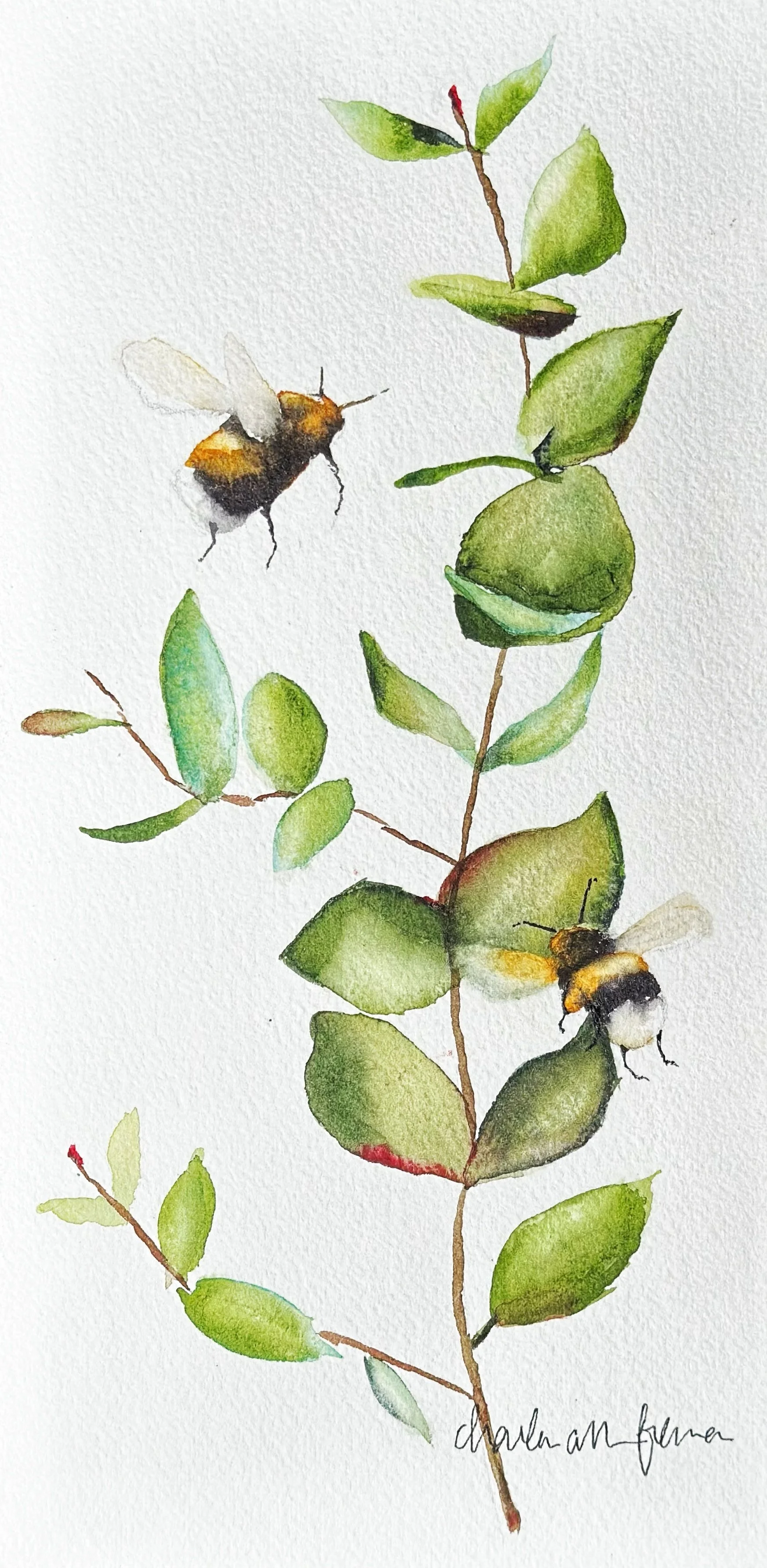 Gallery — Charlene Collins Freeman Art