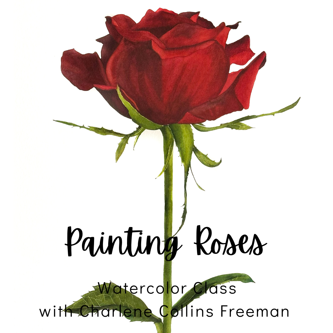 Workshops — Charlene Collins Freeman Art