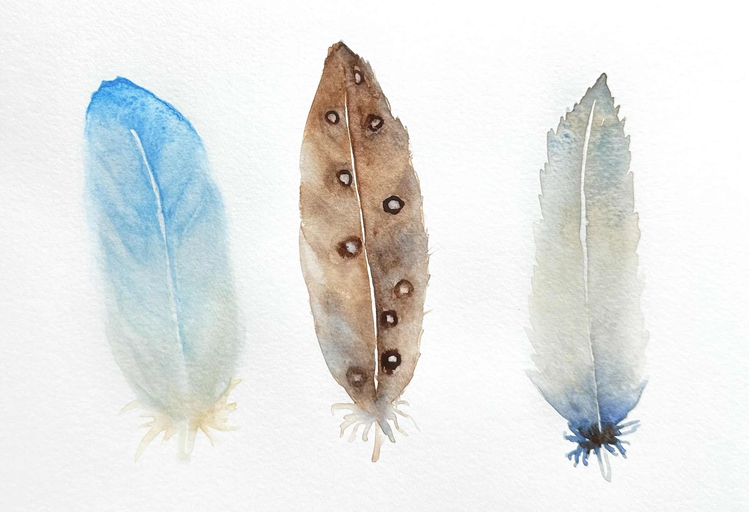 On-Demand Tutorial: Feathers & Birds — Charlene Collins Freeman Art