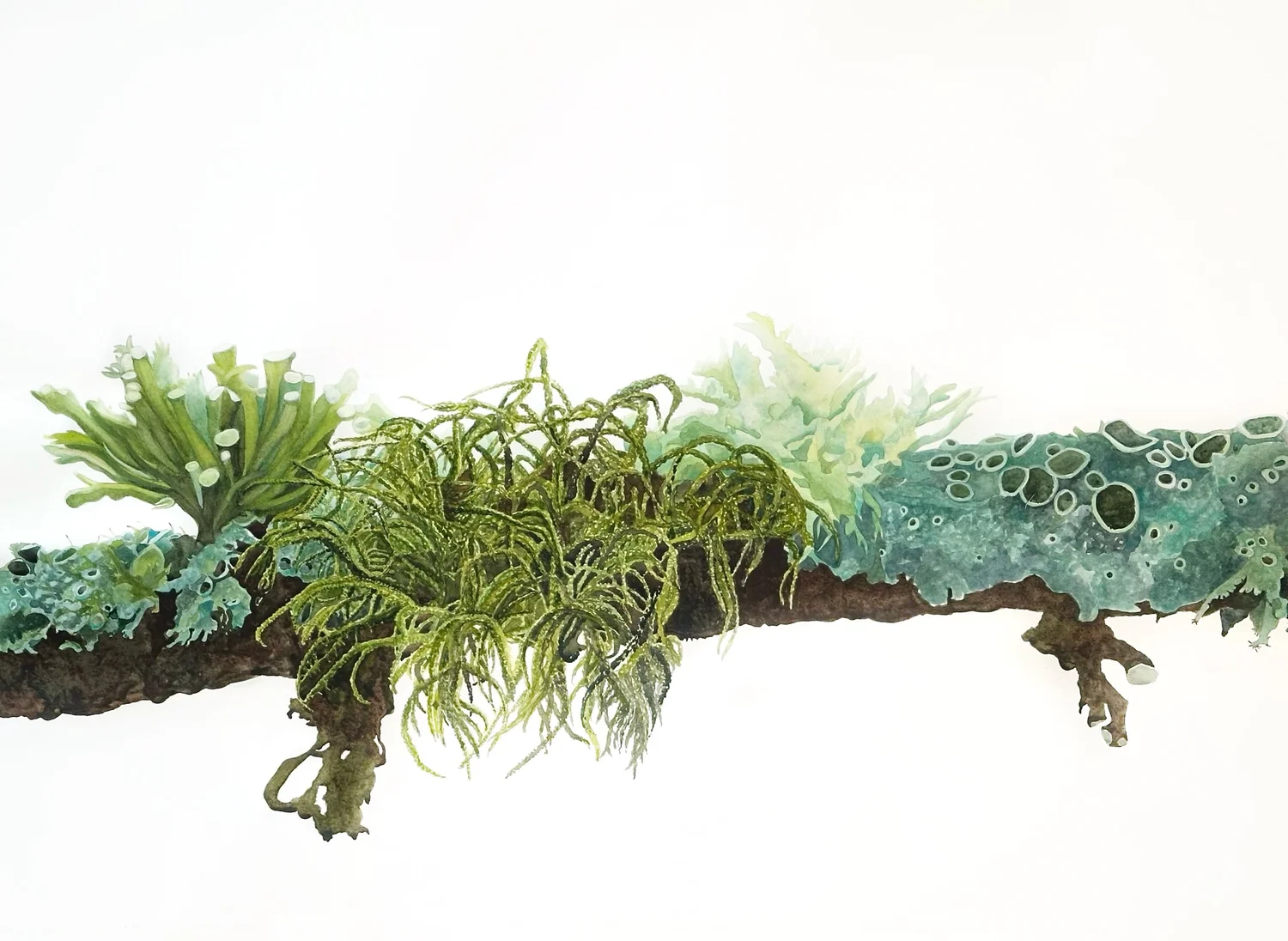 Charlene Collins Freeman Art